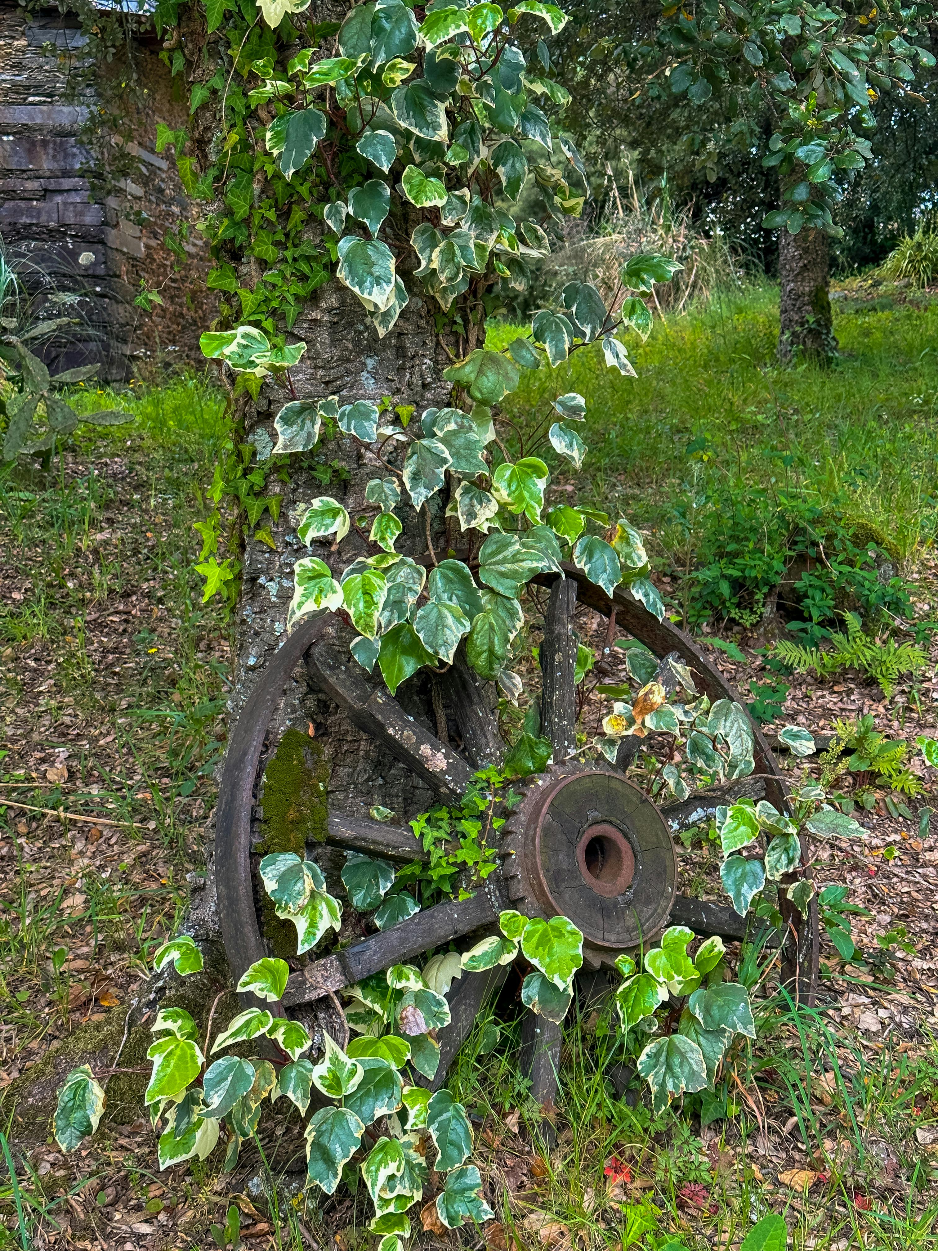 Leaves around Wooden Wheel on Ground · Free Stock Photo