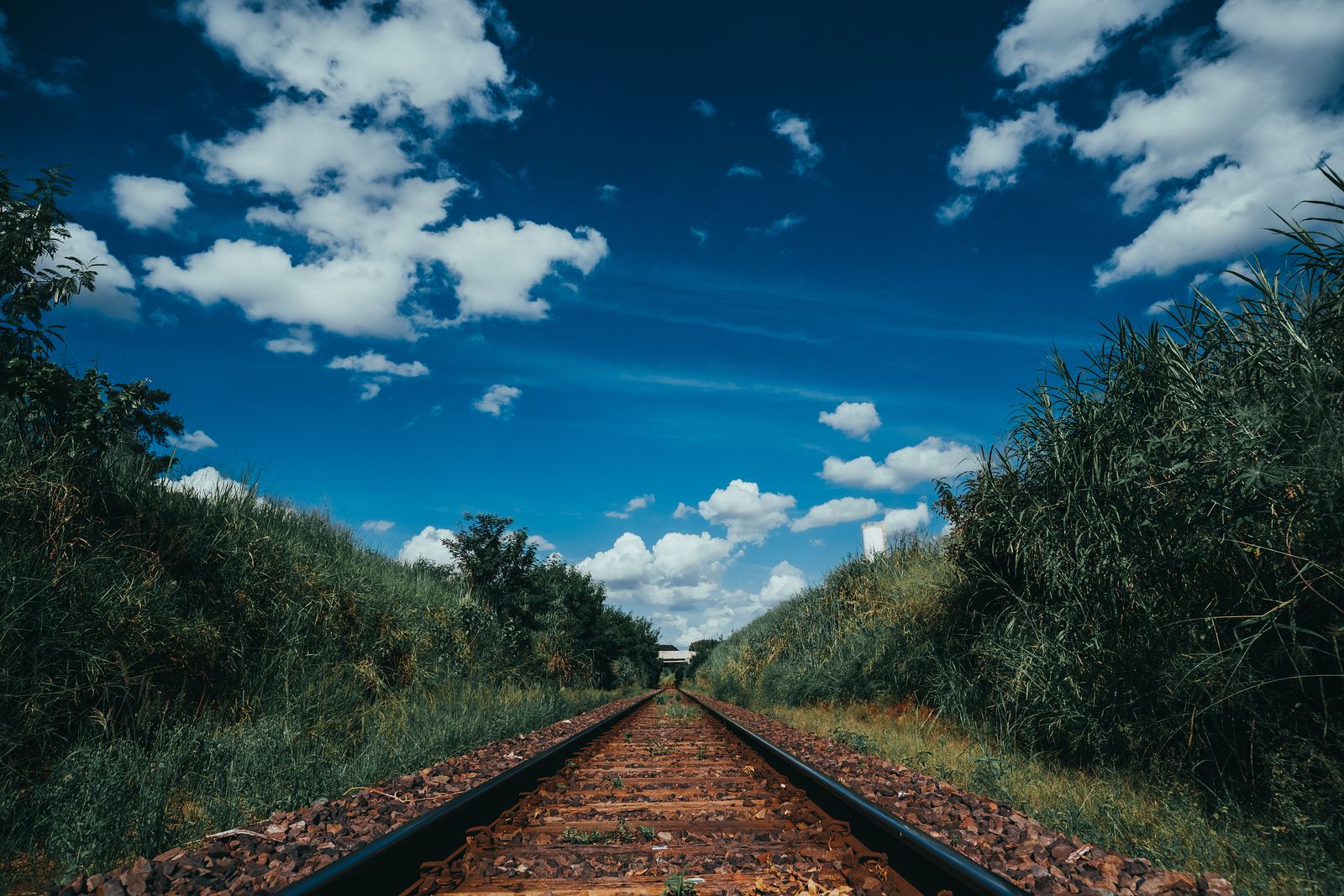 Green Tracks Photos, Download The BEST Free Green Tracks Stock Photos ...