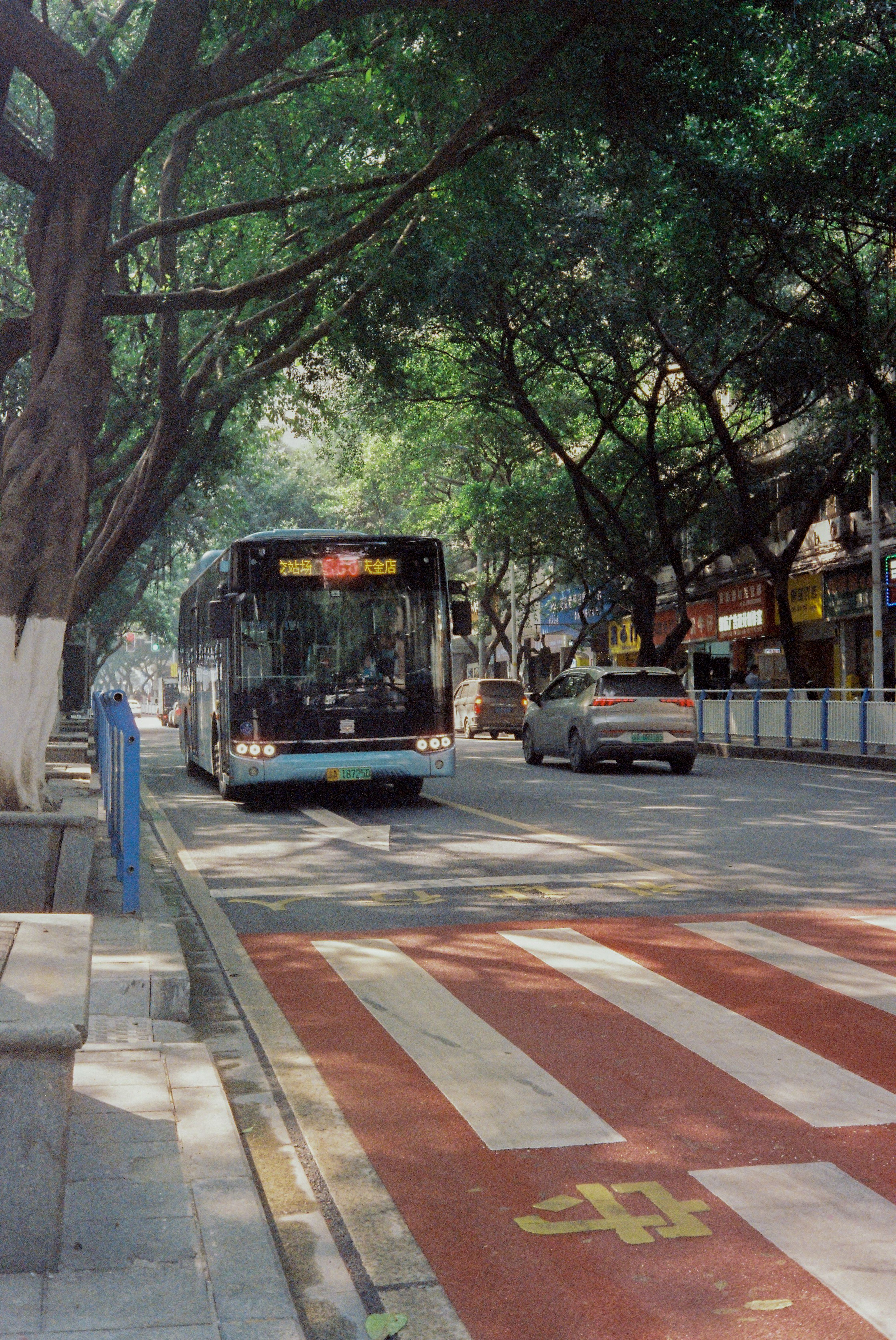 A Bus in a City · Free Stock Photo