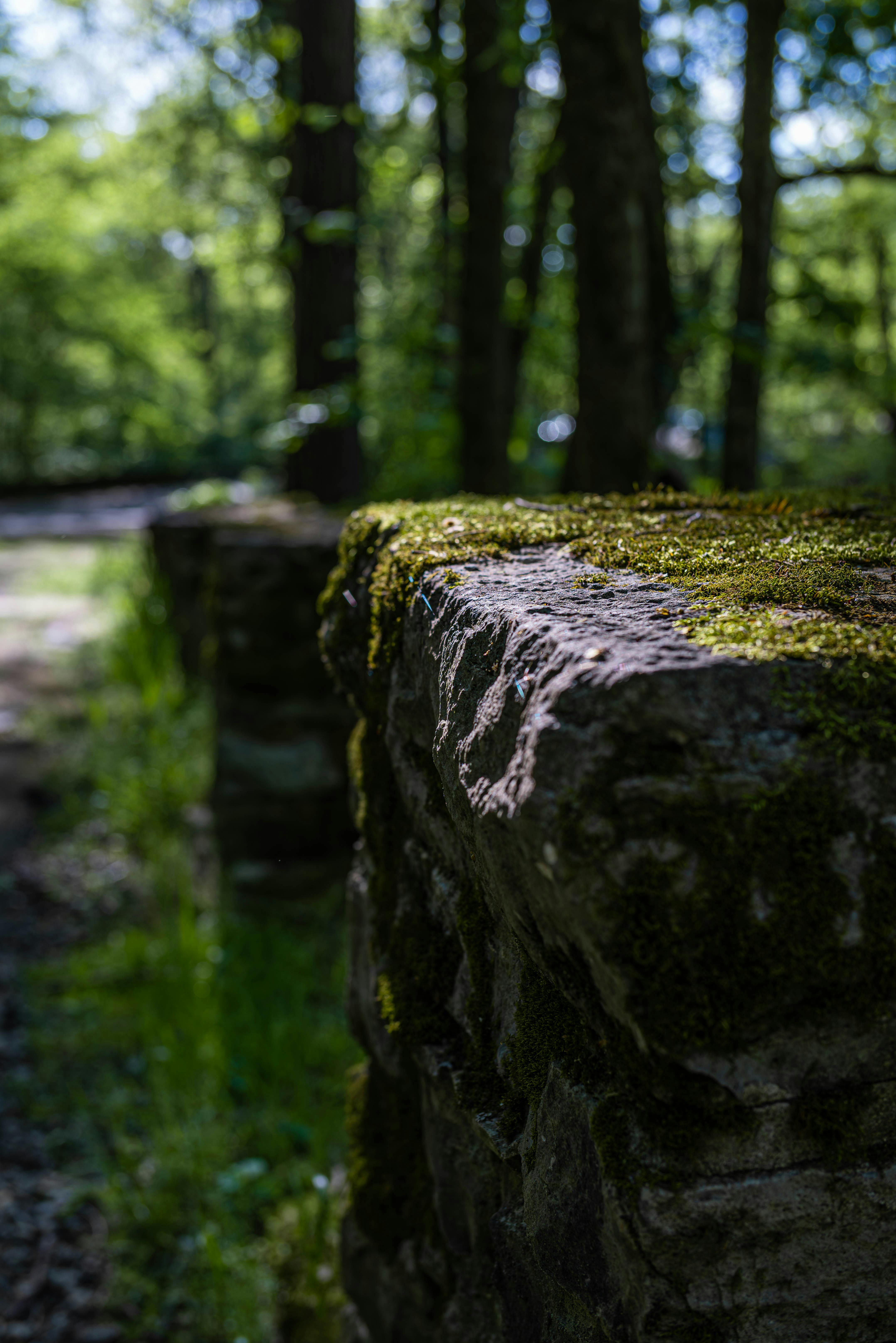 Edwin Warner Park Photos, Download The BEST Free Edwin Warner Park ...