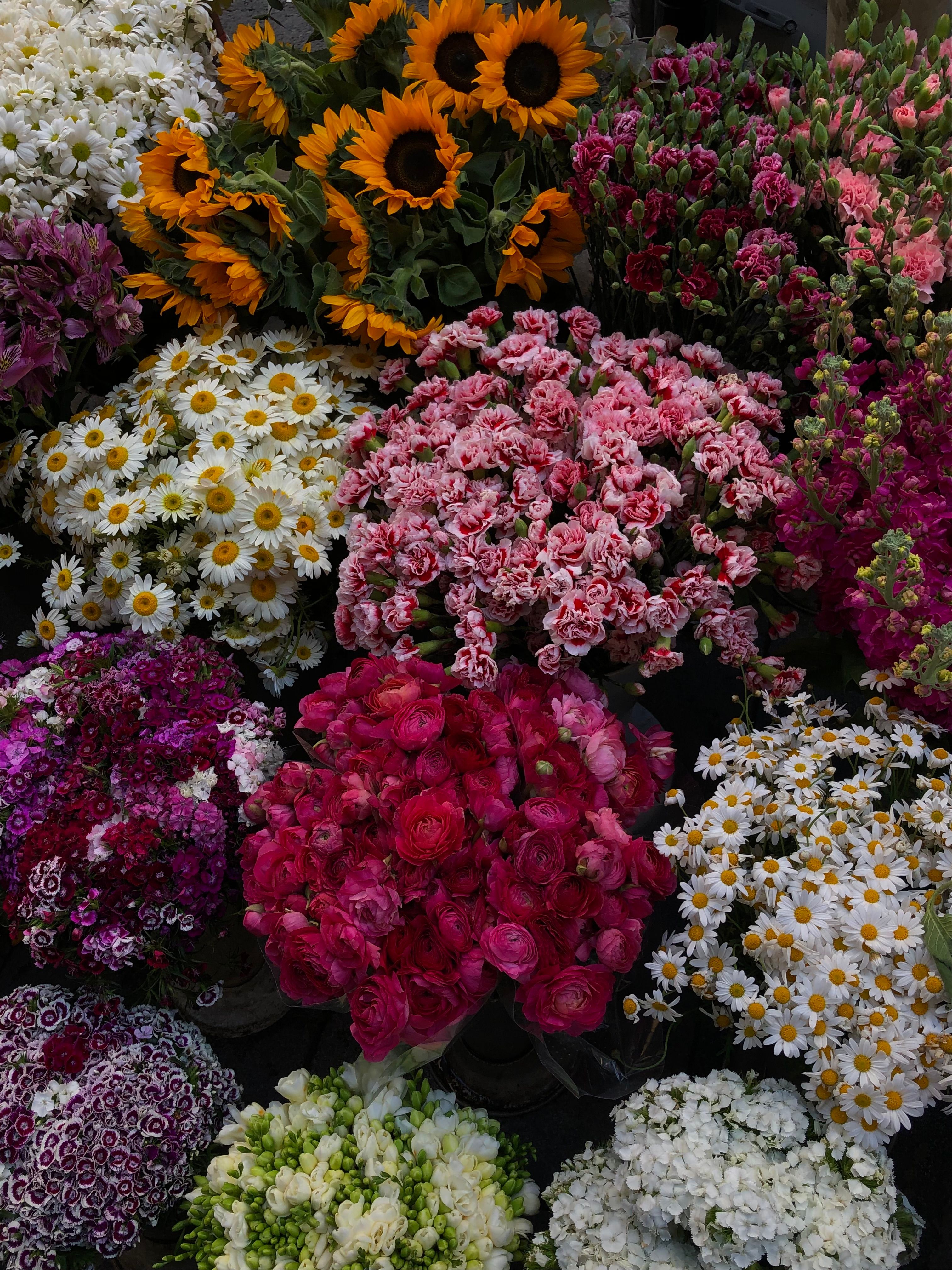 Display in Front of the Flower Stall · Free Stock Photo