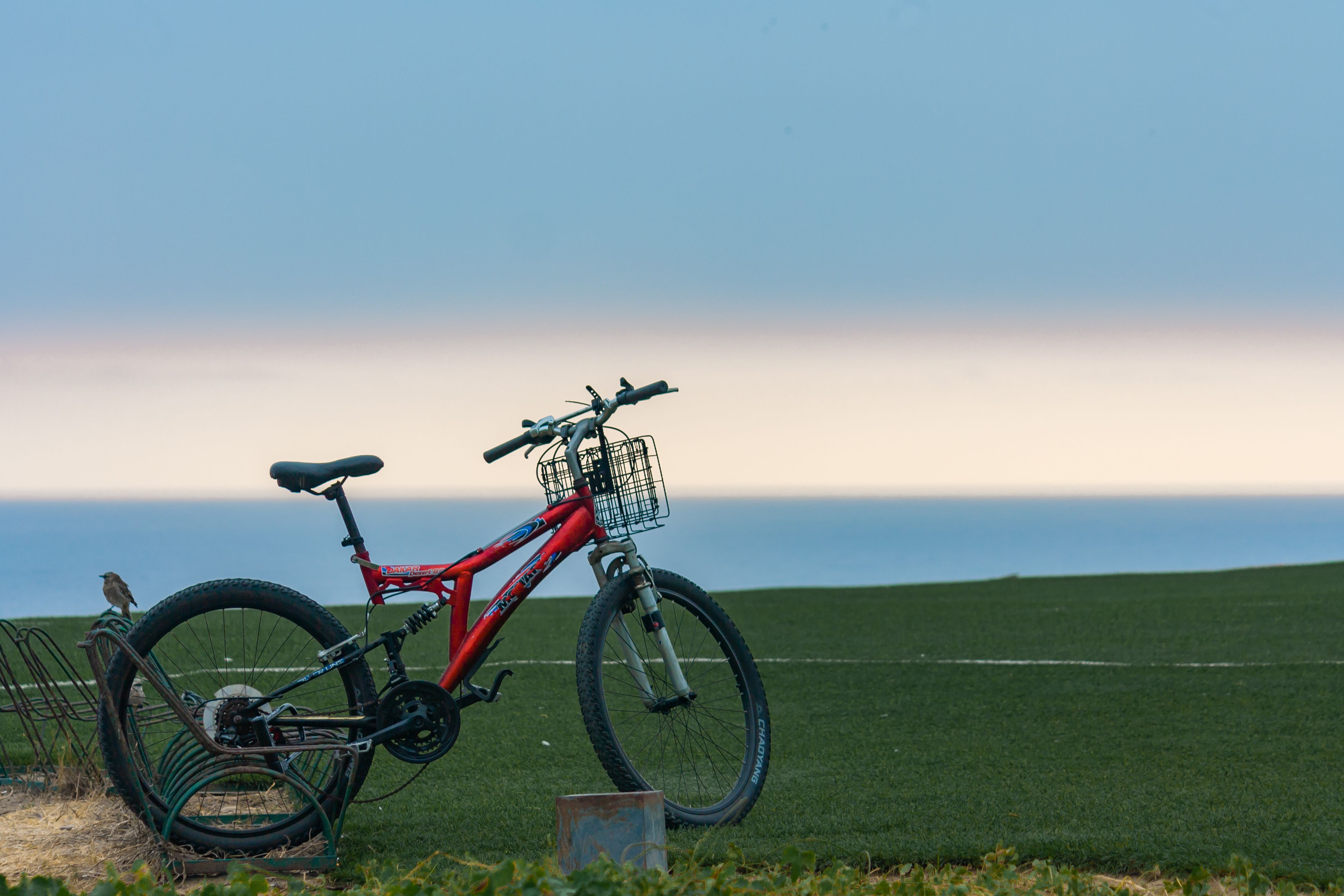 A Bicycle on a Grass Field · Free Stock Photo