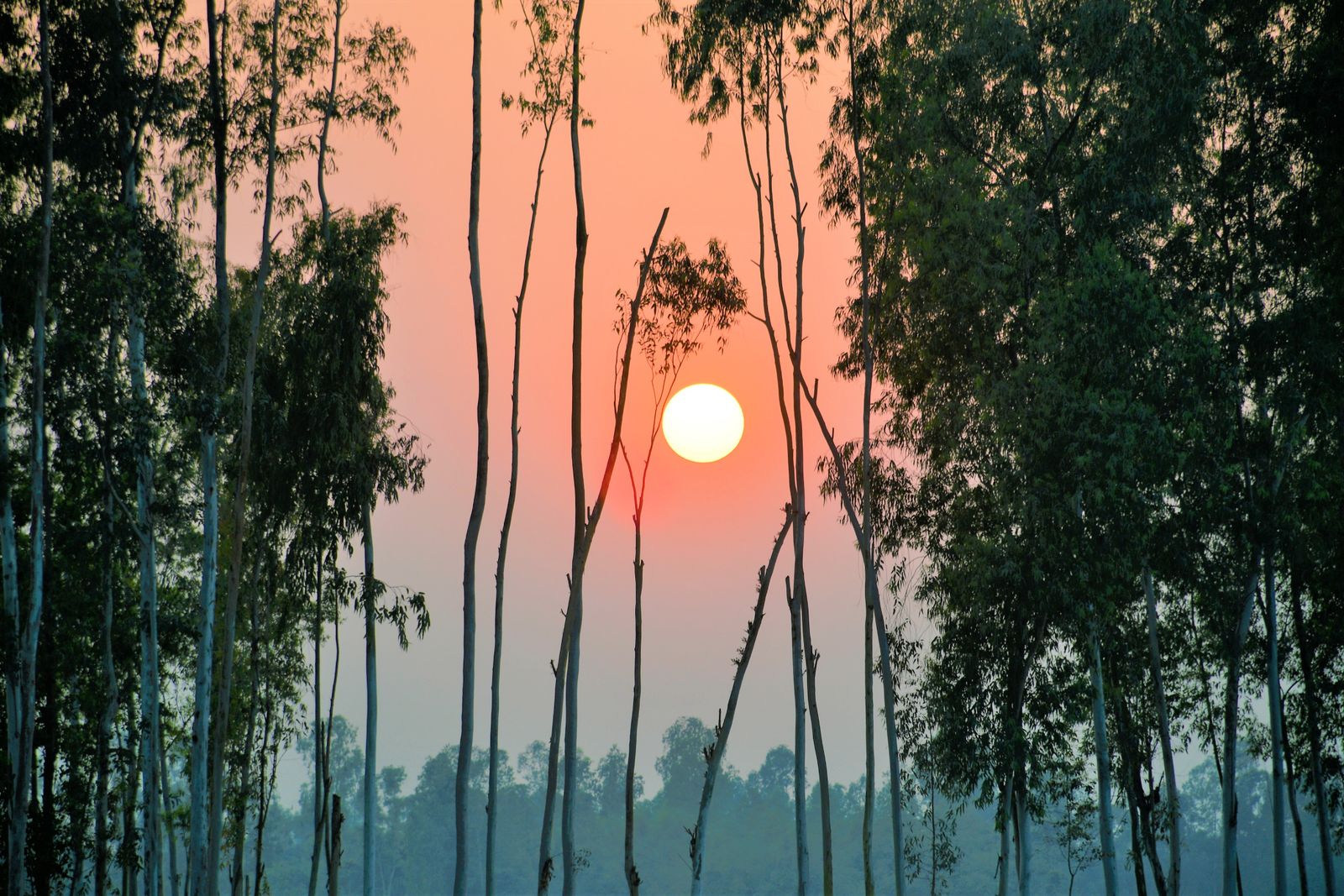 African Sunset Wallpaper Photos, Download The BEST Free African Sunset ...