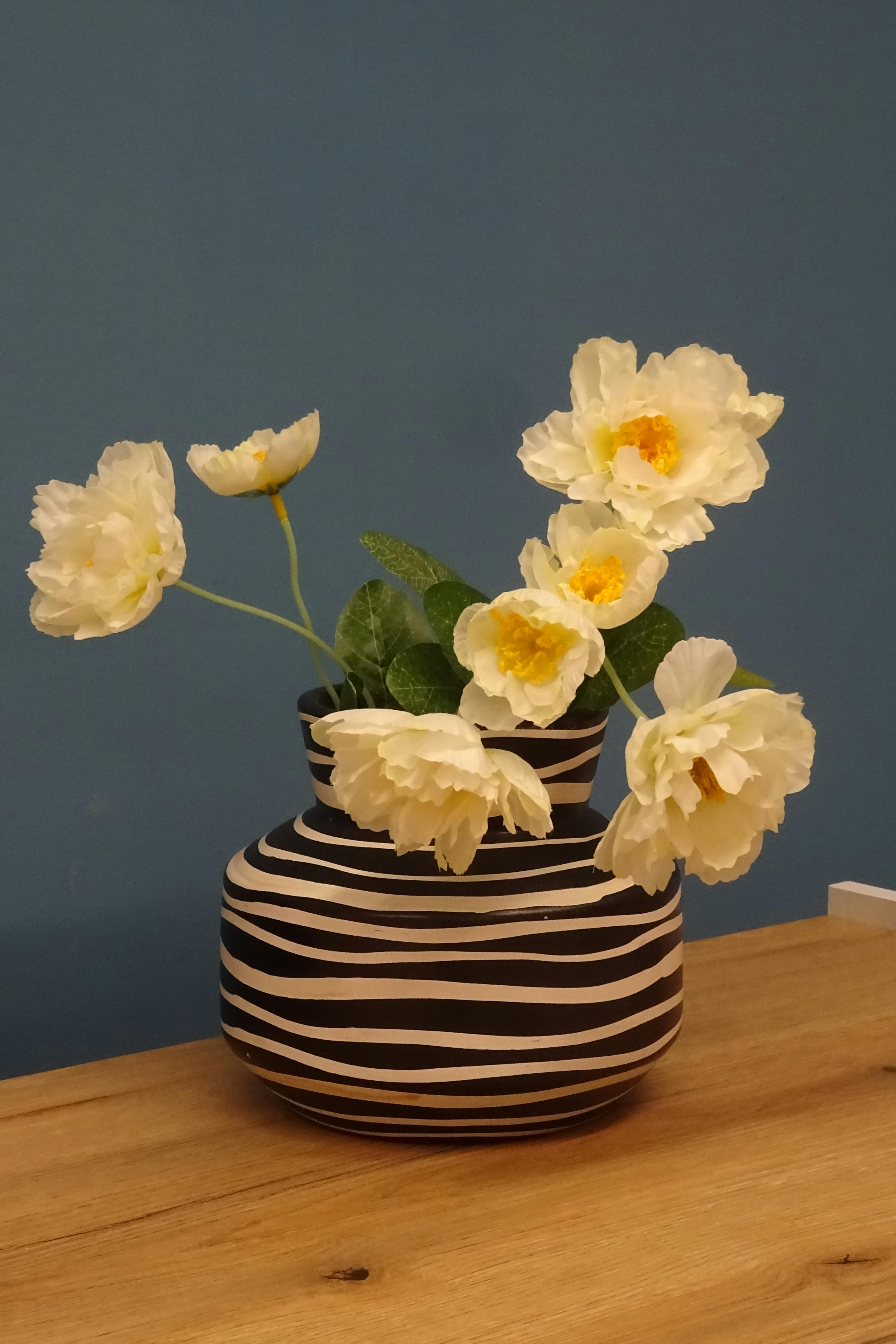 Netural Photos, Download The BEST Free Netural Stock Photos & HD Images