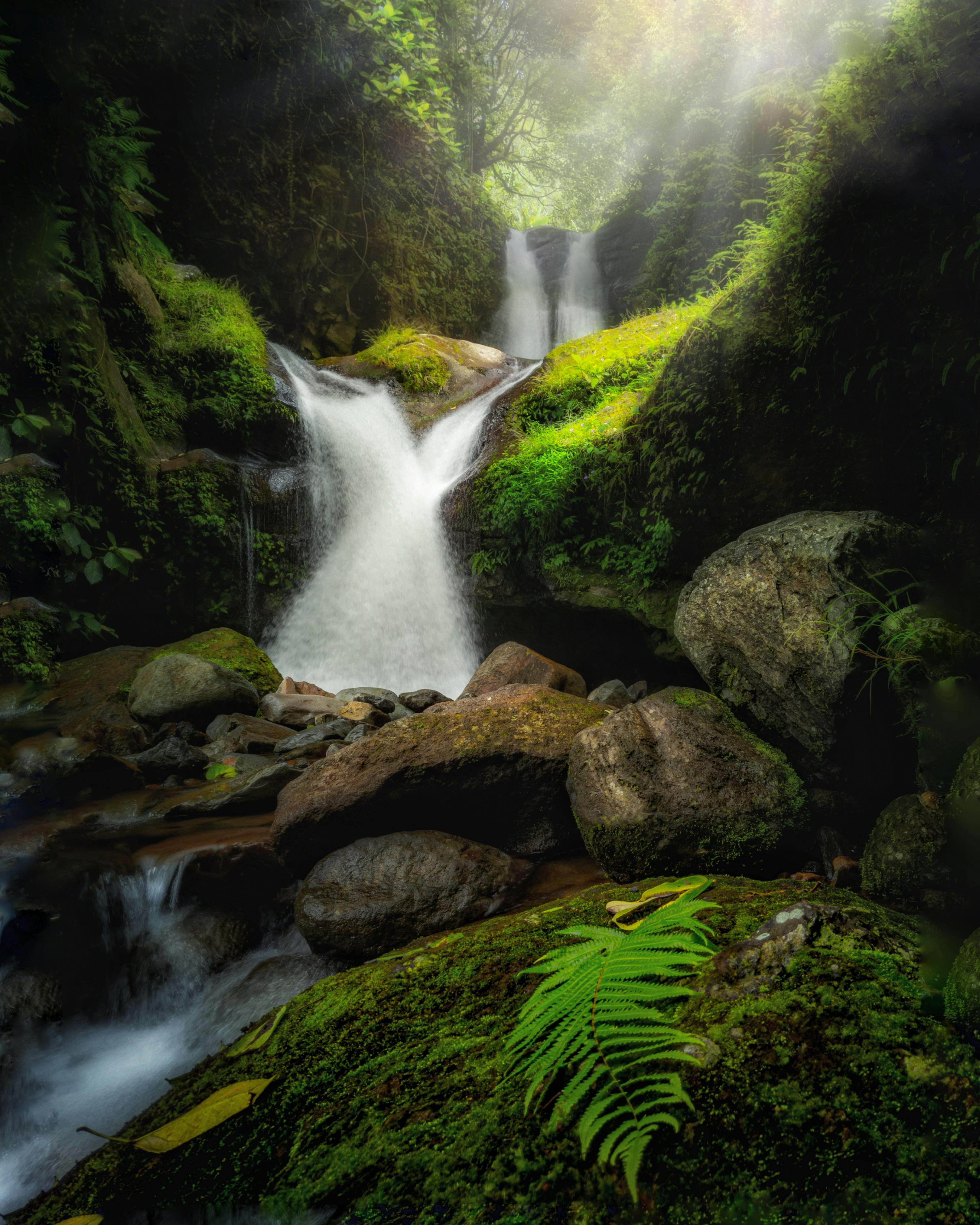 Homepage Photos, Download The BEST Free Homepage Stock Photos & HD Images