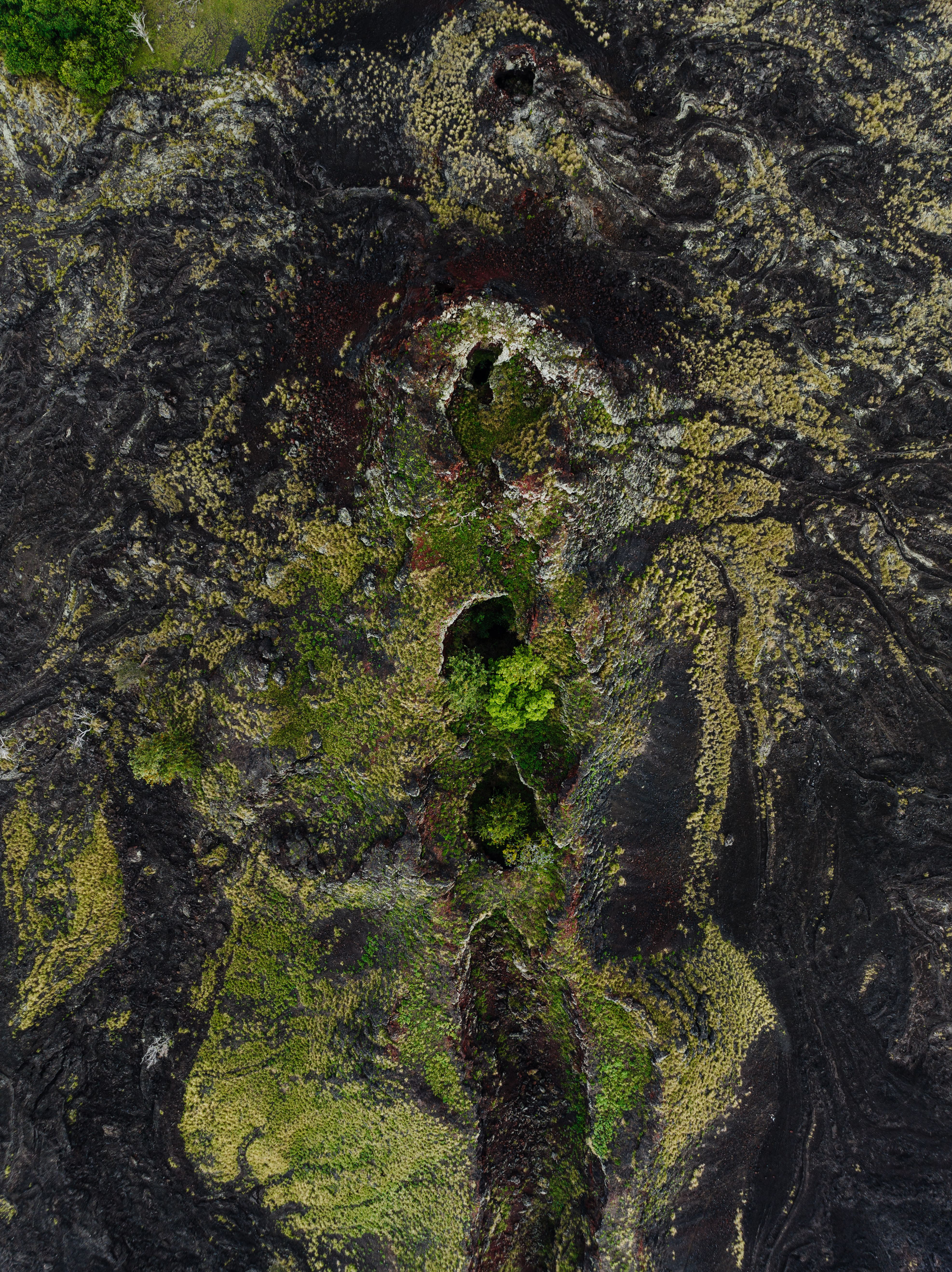 Aerial View of a Rock Crevice Overgrown with Green Vegetation · Free ...