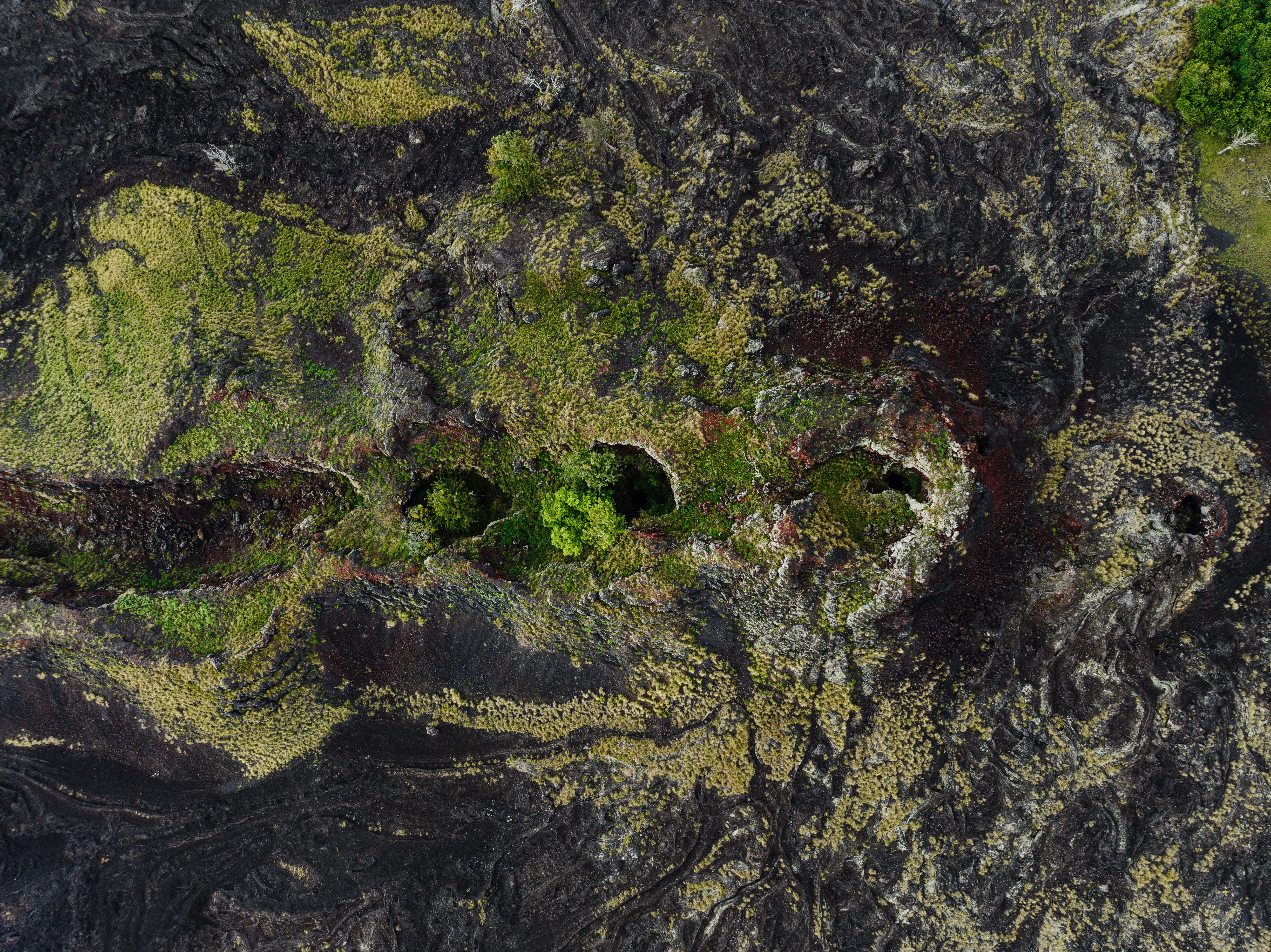 An aerial view of a lava field with green grass · Free Stock Photo