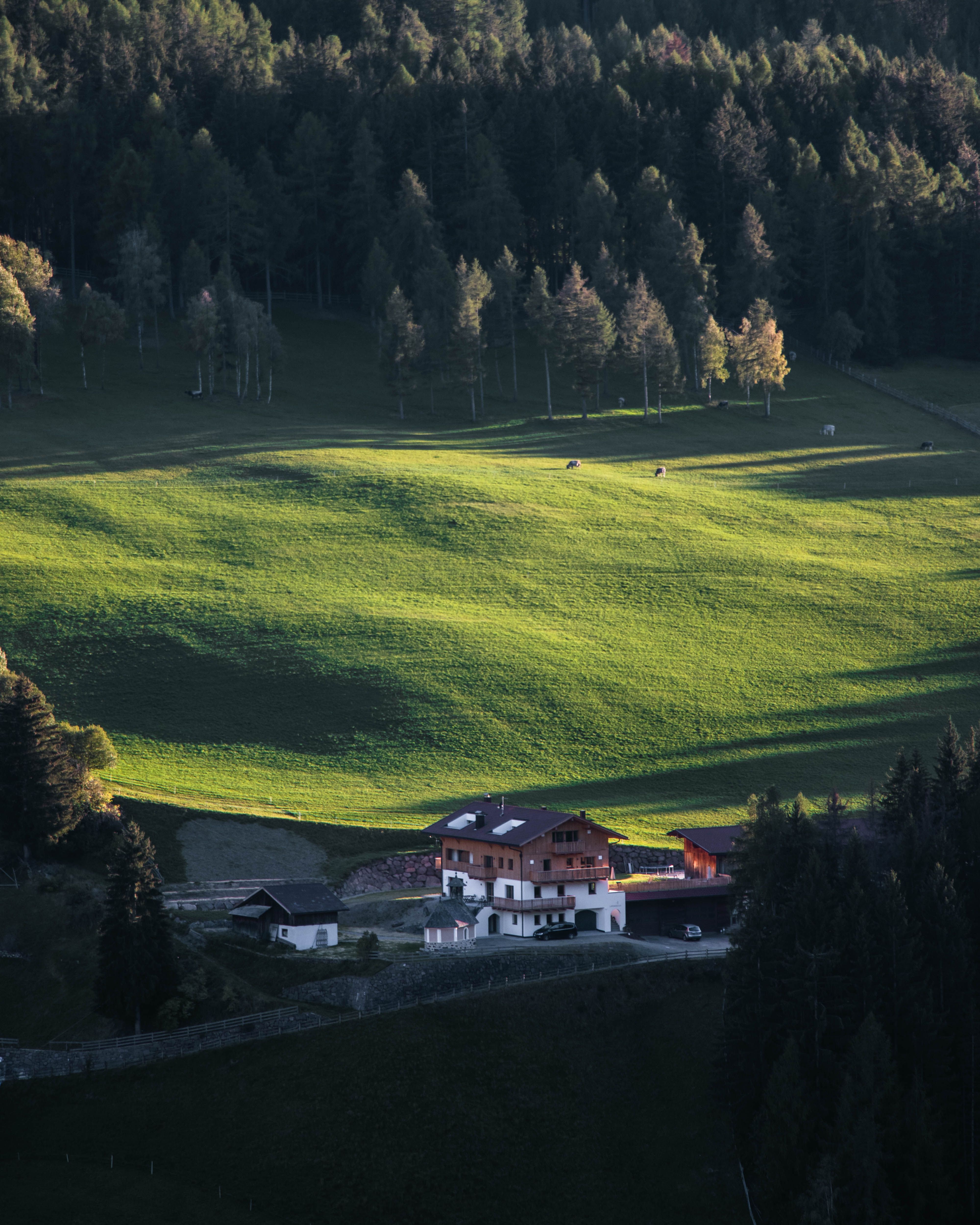 Foto de stock gratuita sobre agricultura, al aire libre, alpino ...