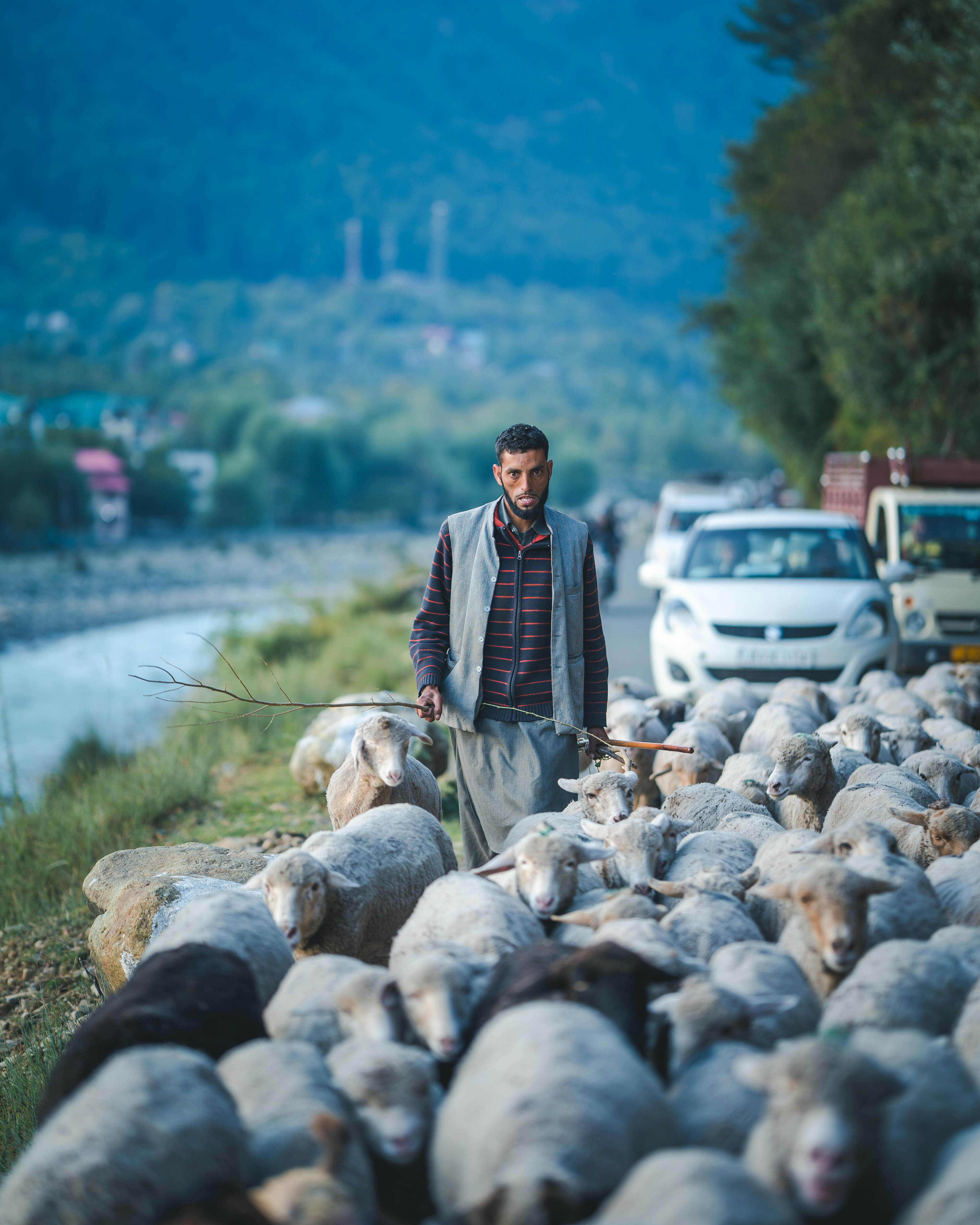 Cartoon Animals Drawings Photos, Download The BEST Free Cartoon Animals ...