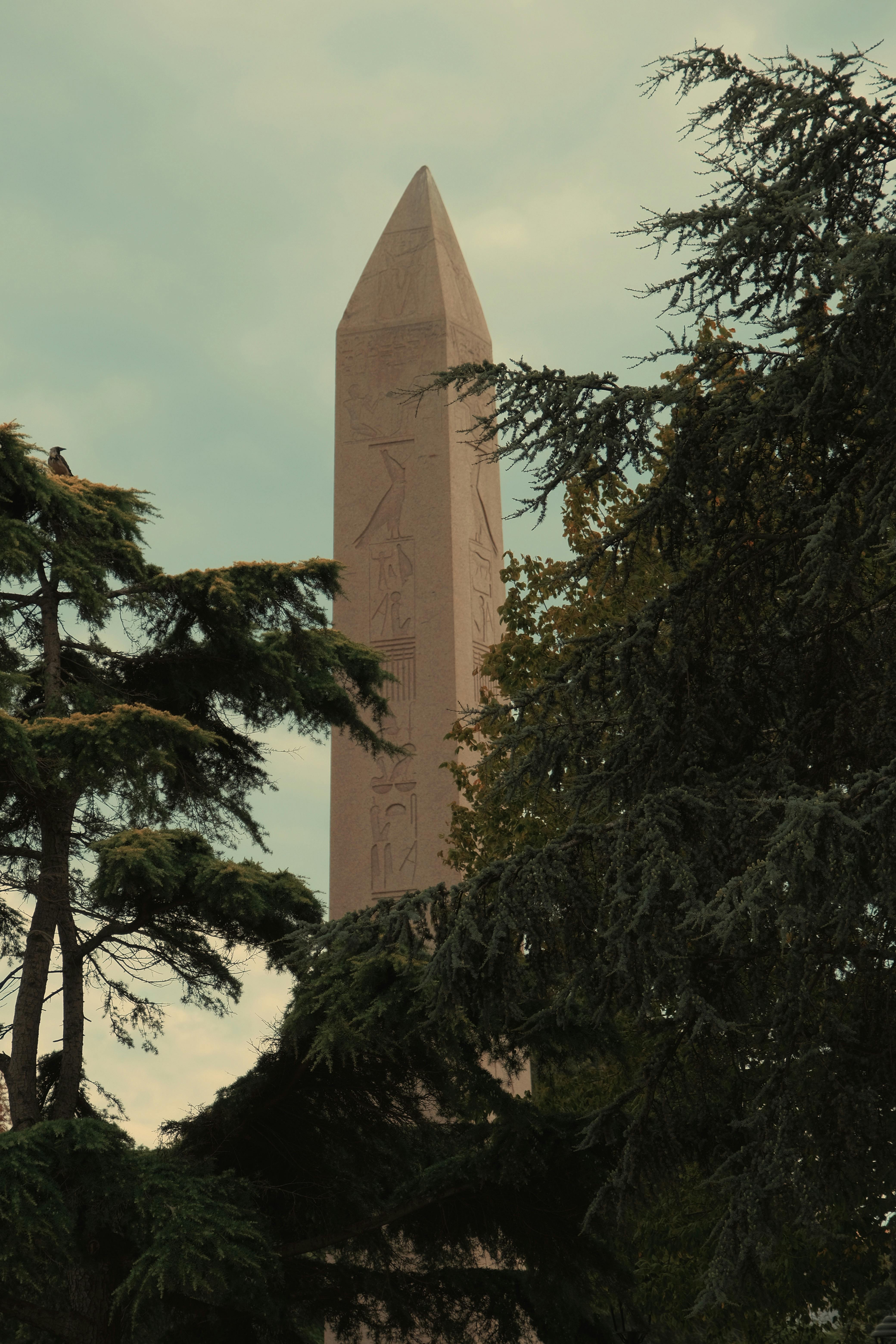 Washington Monument behind Trees · Free Stock Photo