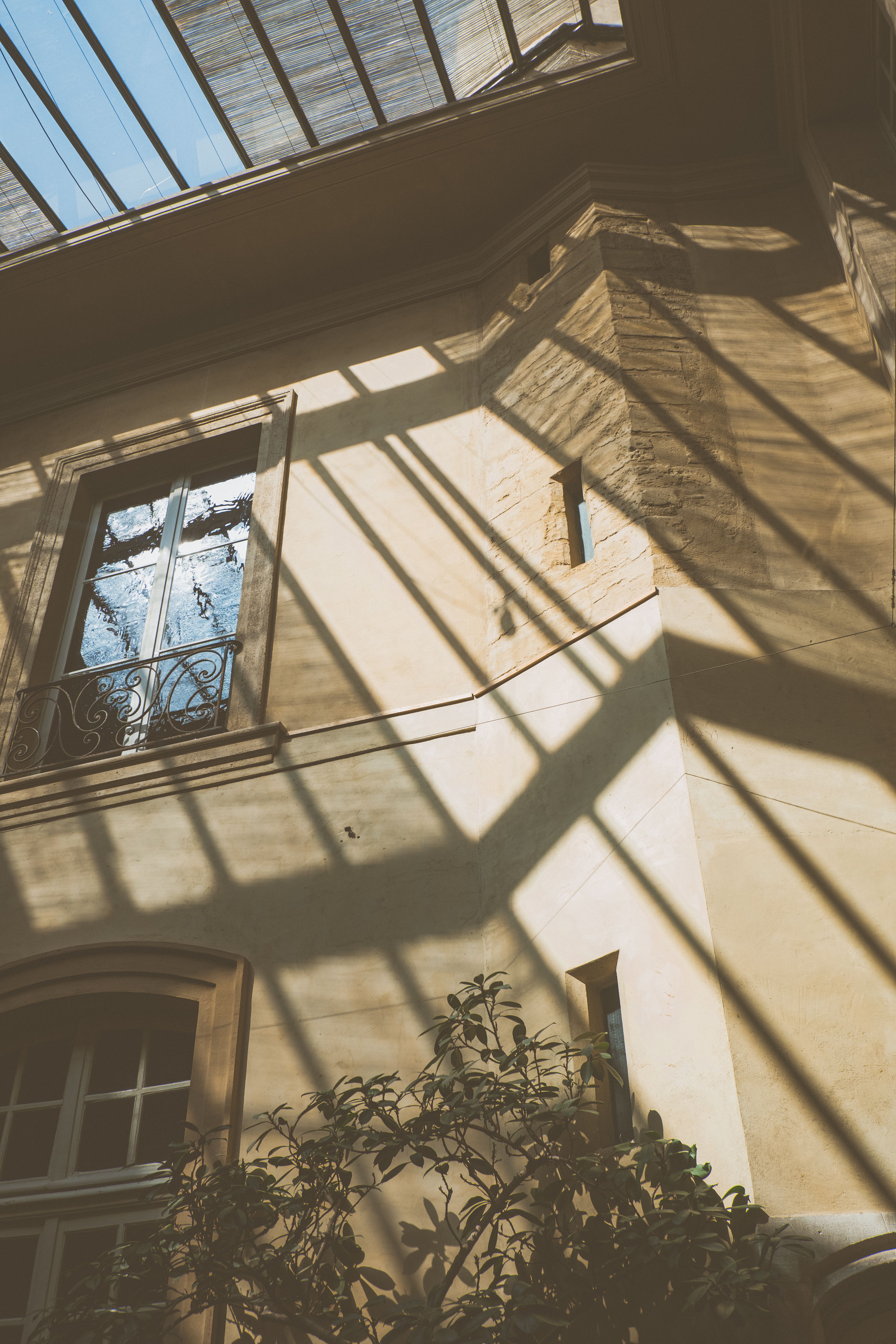 Shadows on Sunlit Wall · Free Stock Photo