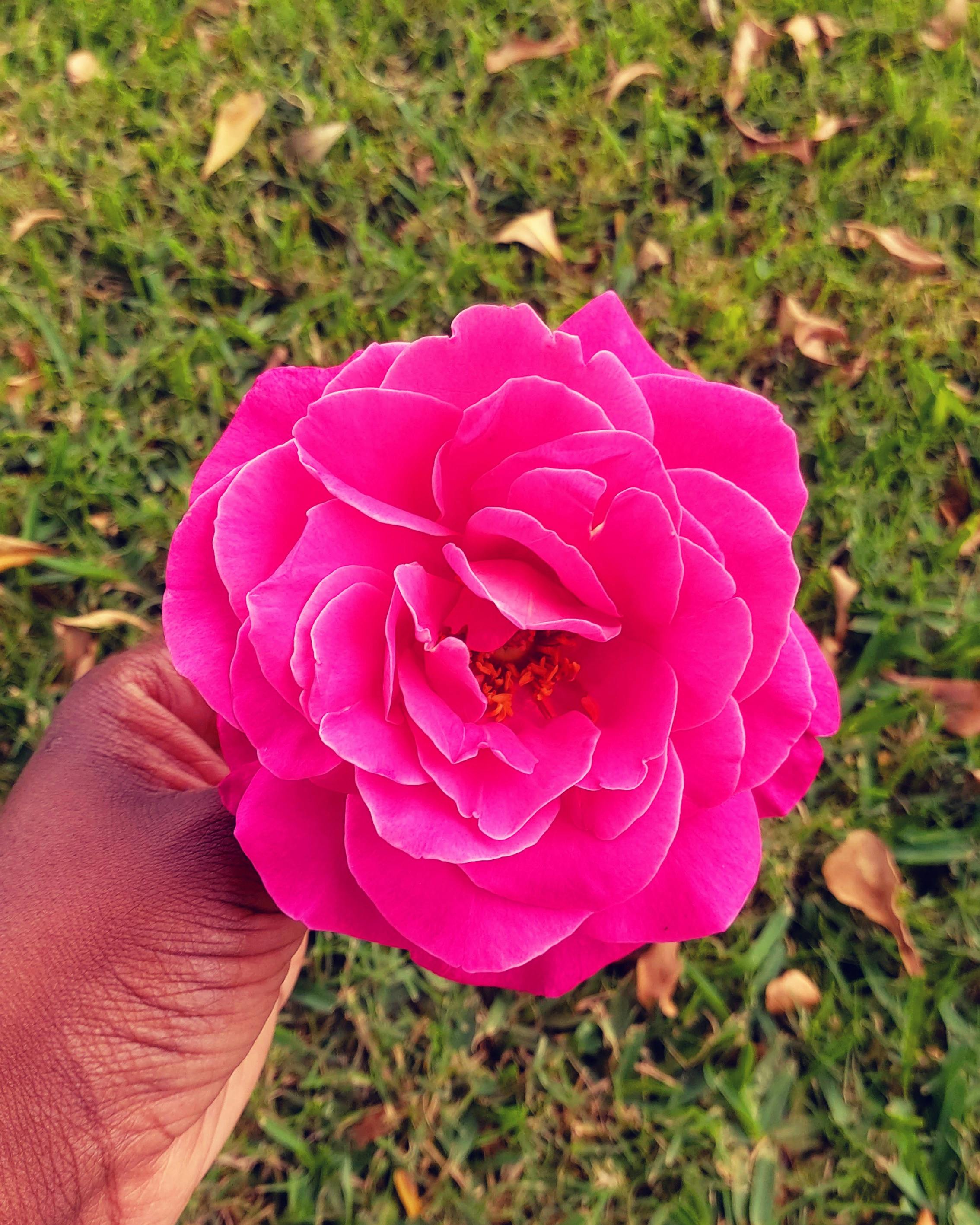 Christina Katu - 摄影