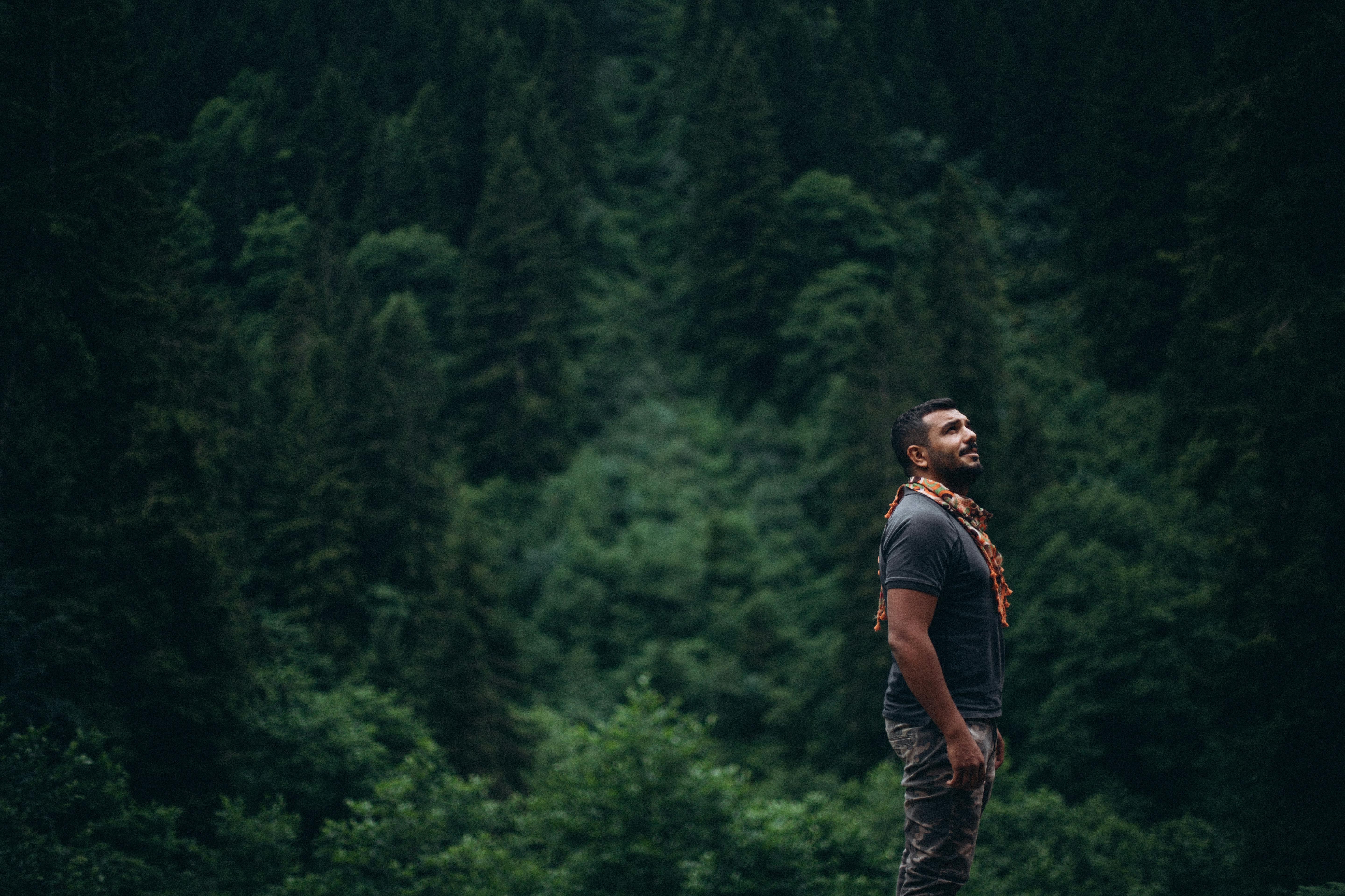 Man Standing in Forest · Free Stock Photo