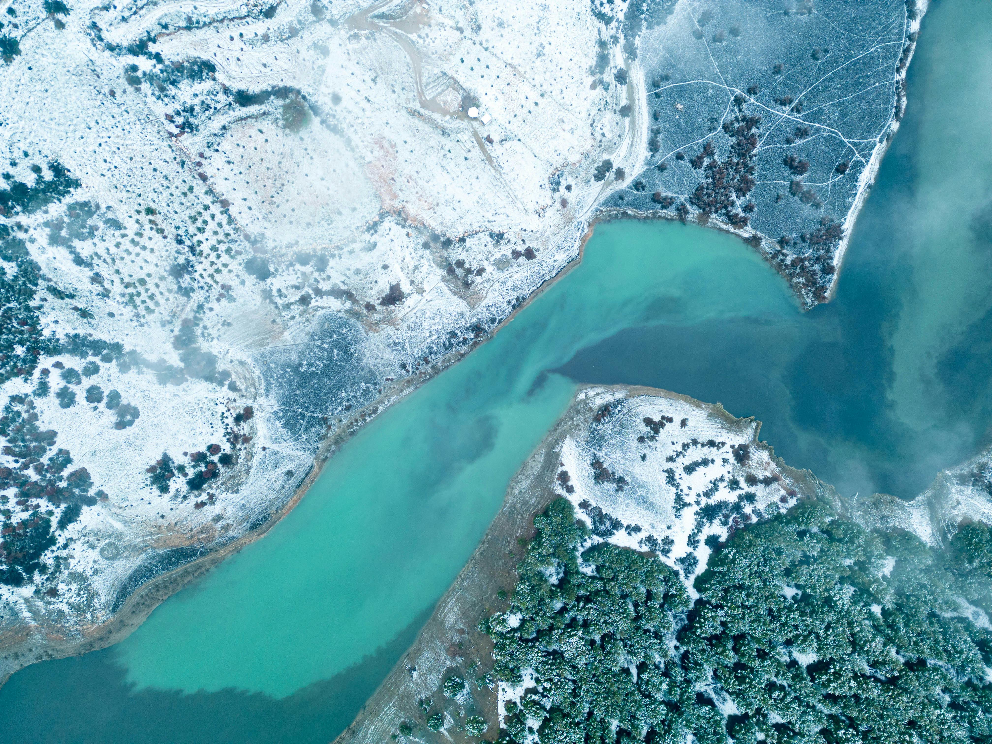 Top View Photo of Trees Covered With Snow · Free Stock Photo