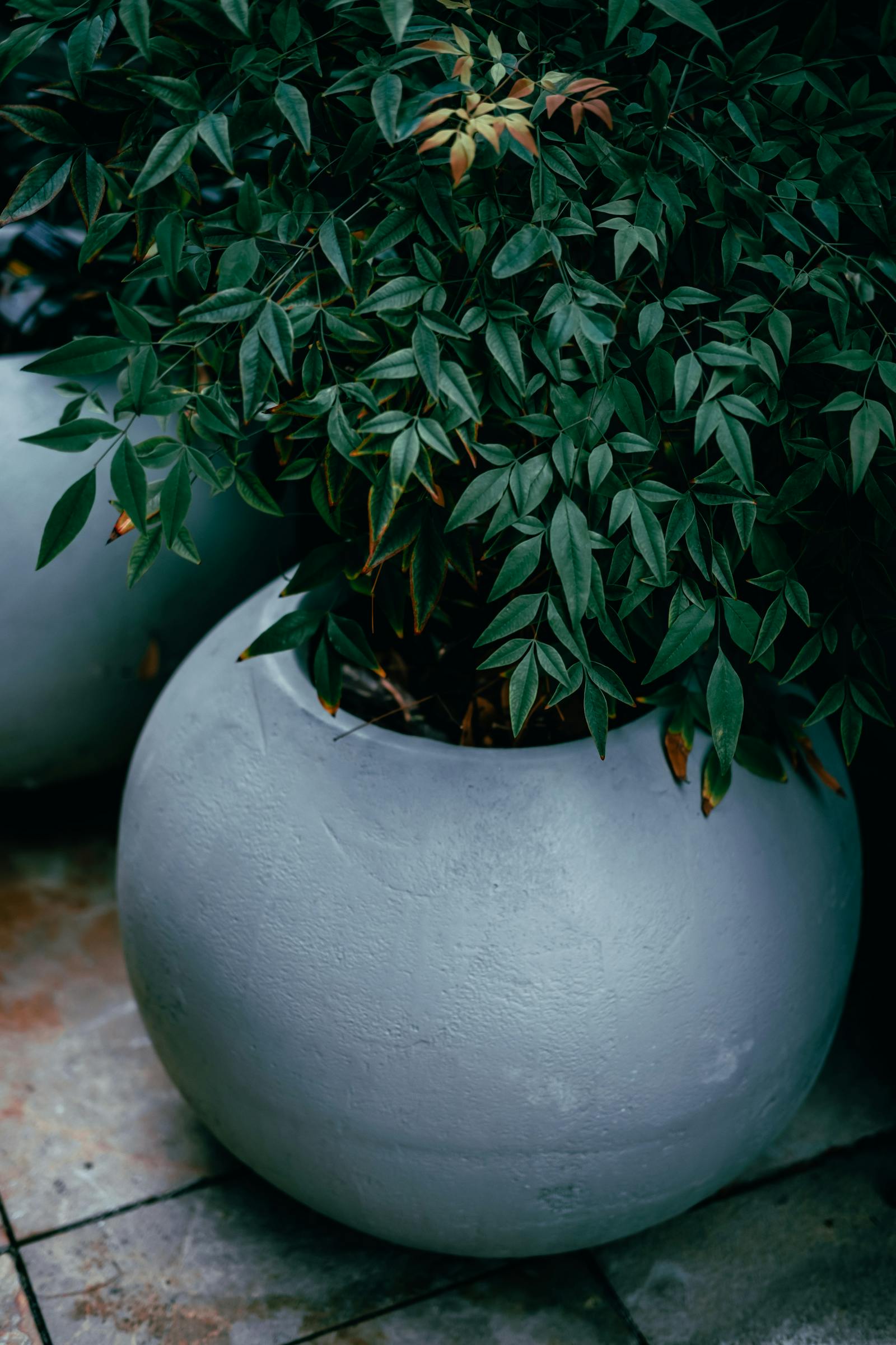 Huge Pot Photos, Download The BEST Free Huge Pot Stock Photos & HD Images