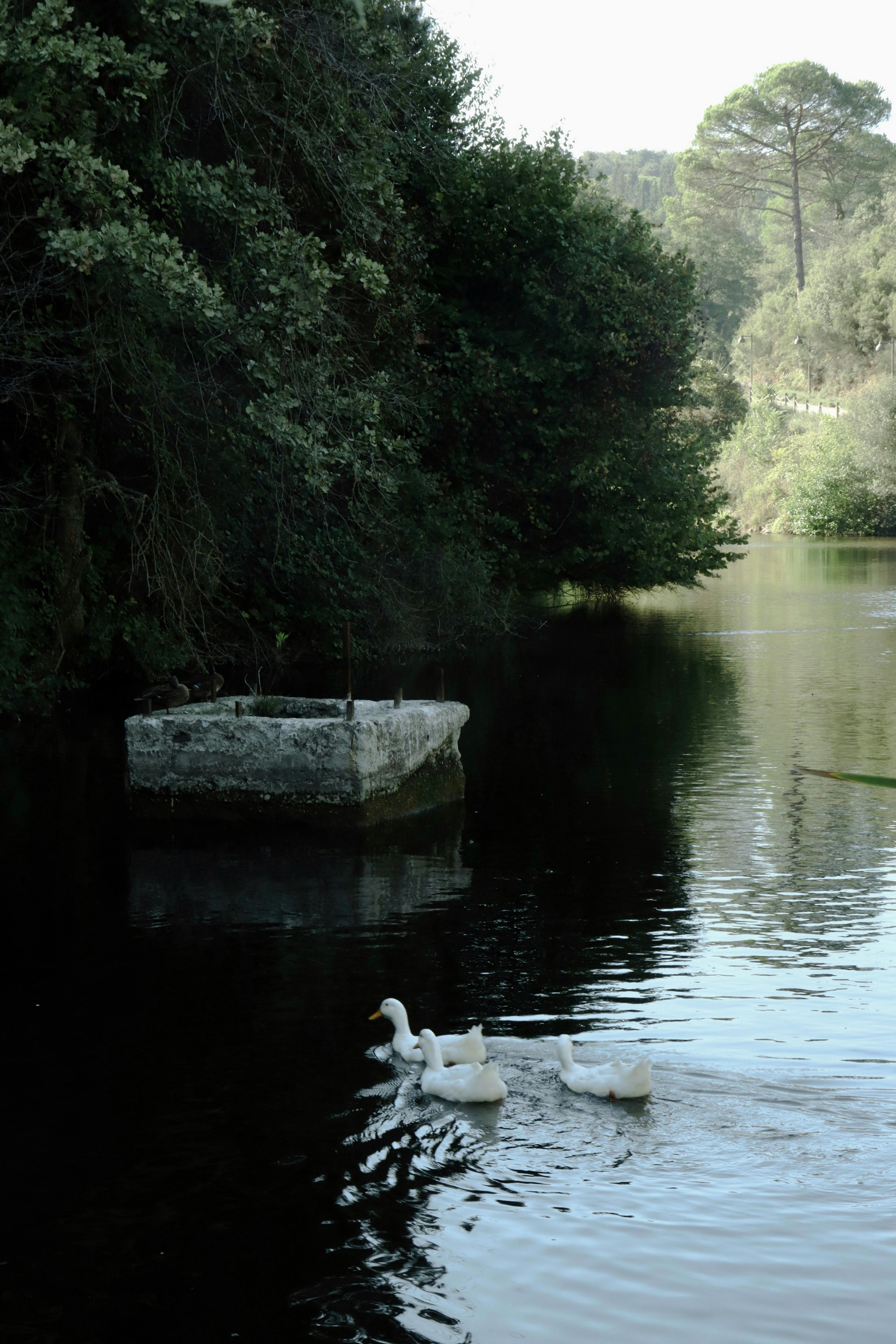 Ulka Pind Photos, Download The BEST Free Ulka Pind Stock Photos & HD Images