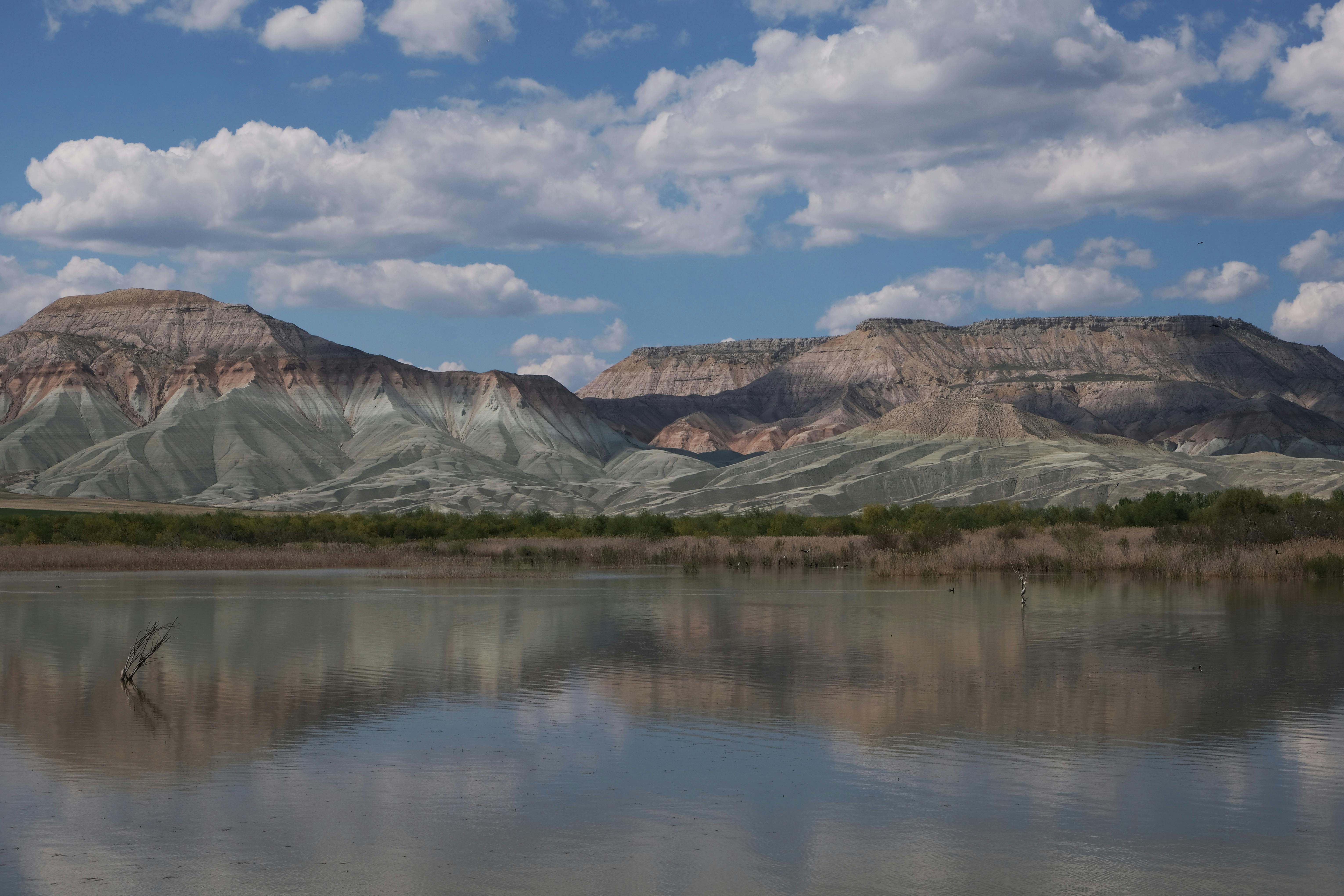 Wilderness Wallpaper Photos, Download The BEST Free Wilderness ...