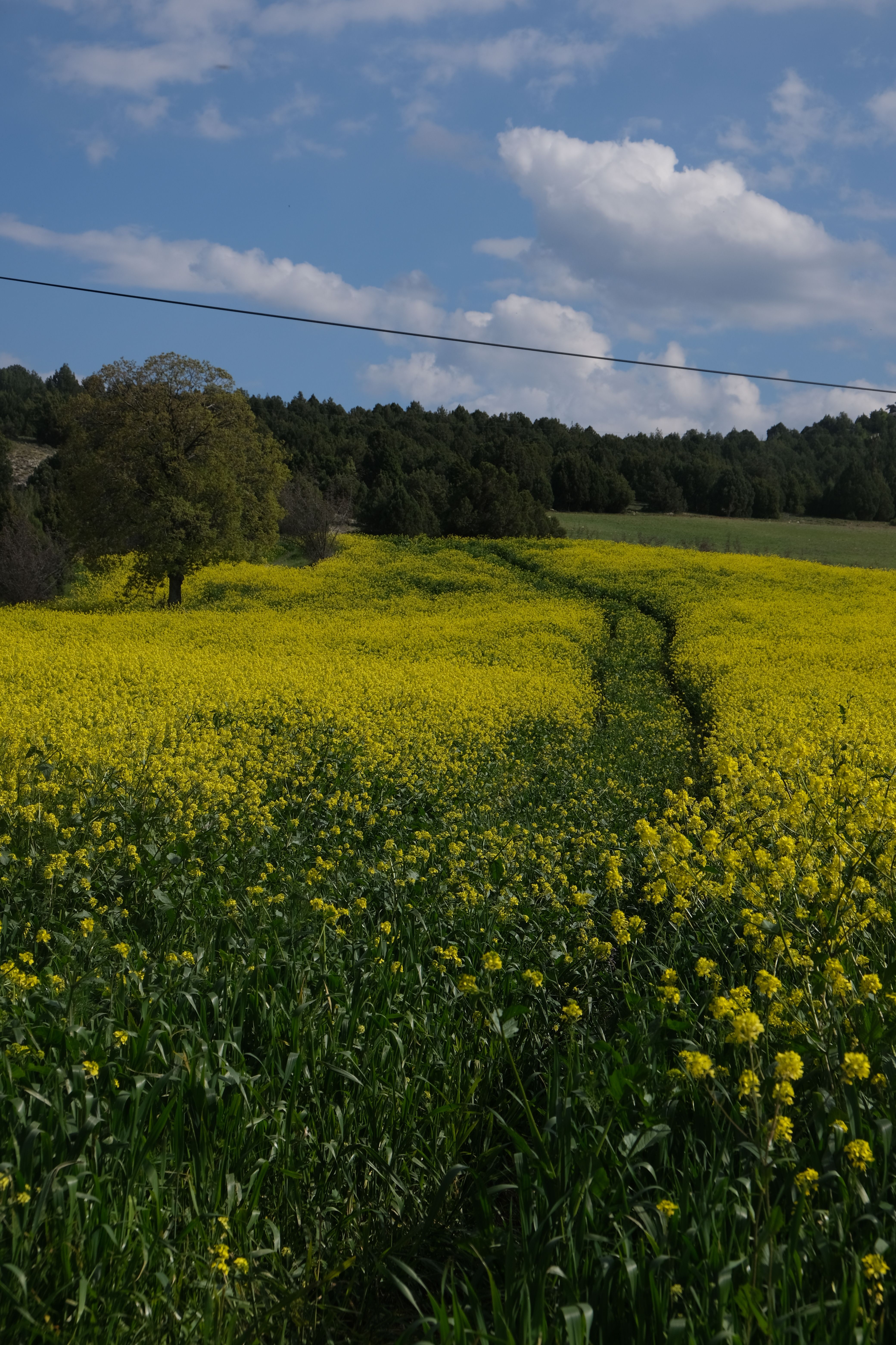 Pass Through Photos, Download The BEST Free Pass Through Stock Photos ...
