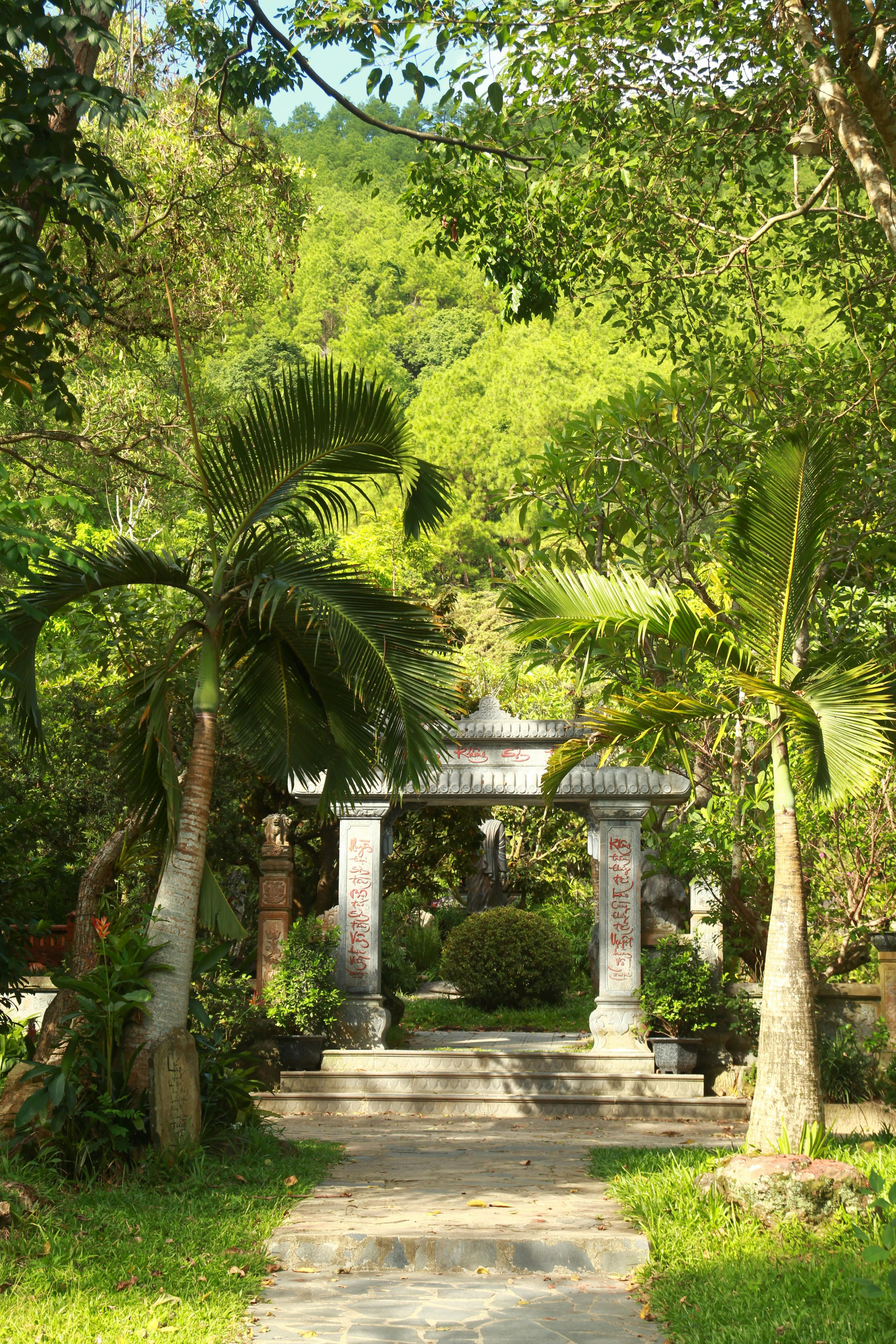 Gate among Palm Trees · Free Stock Photo