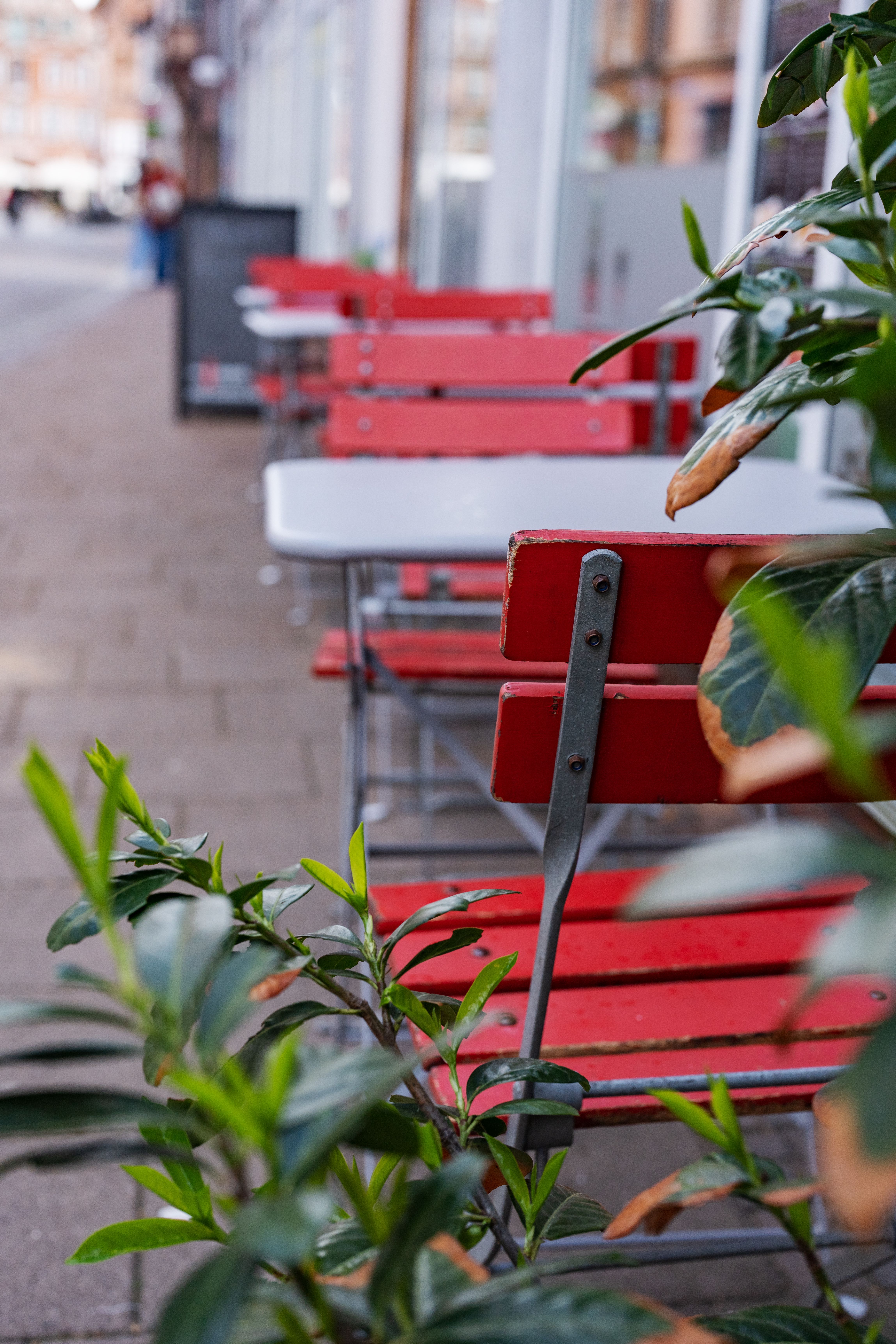 Cafè · Free Stock Photo