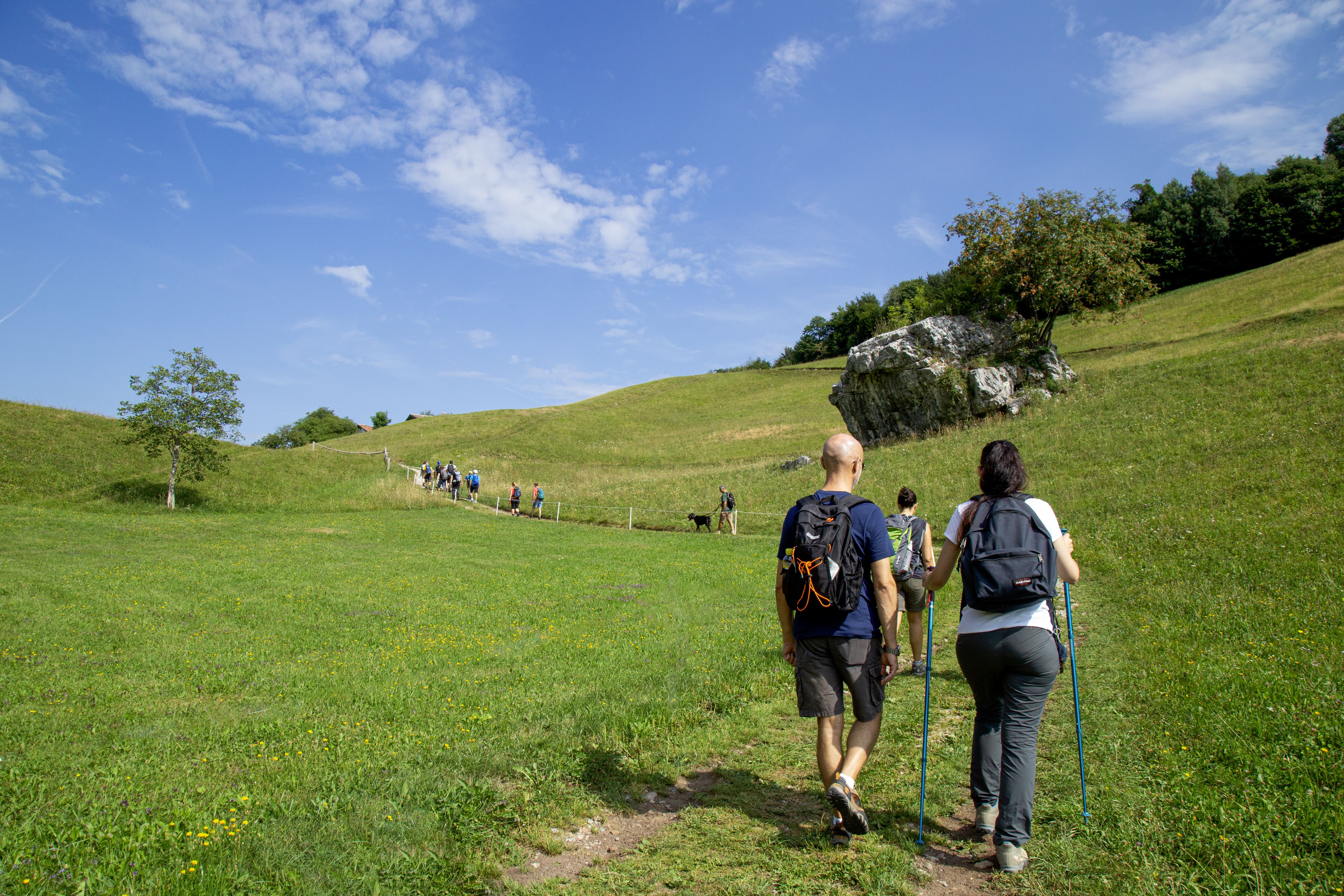 Back View of Hiking Couple · Free Stock Photo