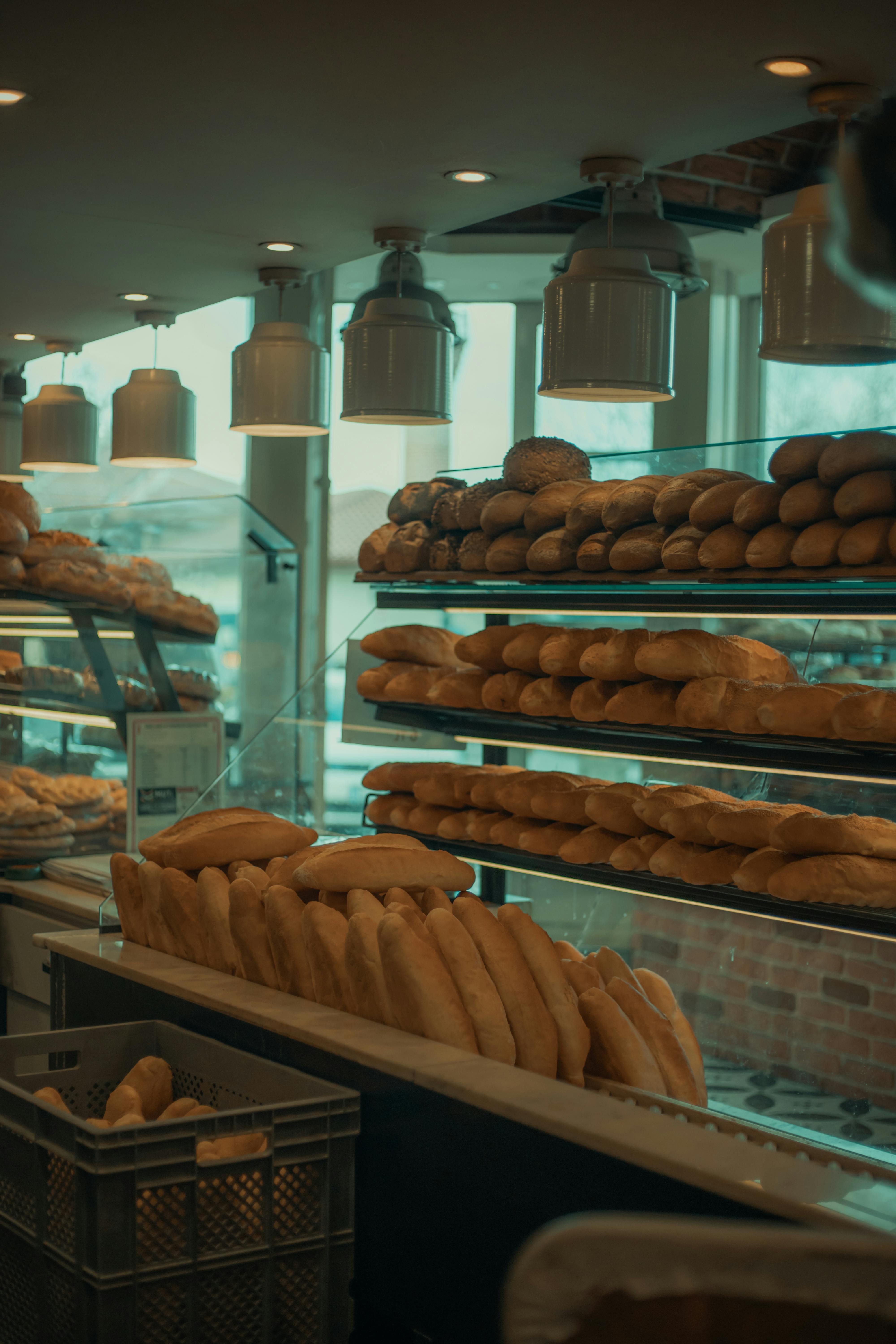 Lights over Breads in Bakery · Free Stock Photo