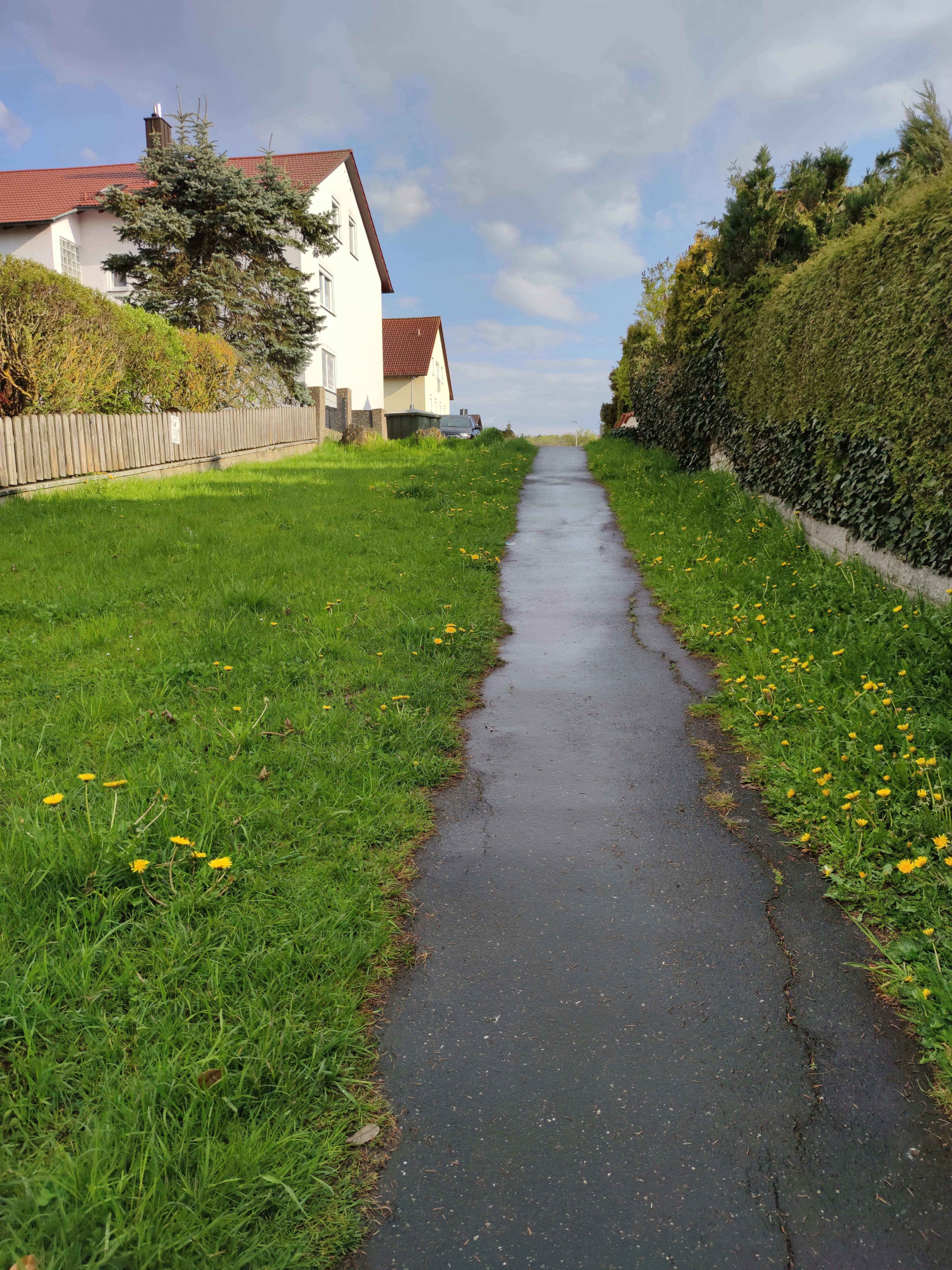 Asphalt Path Along the Gardens · Free Stock Photo