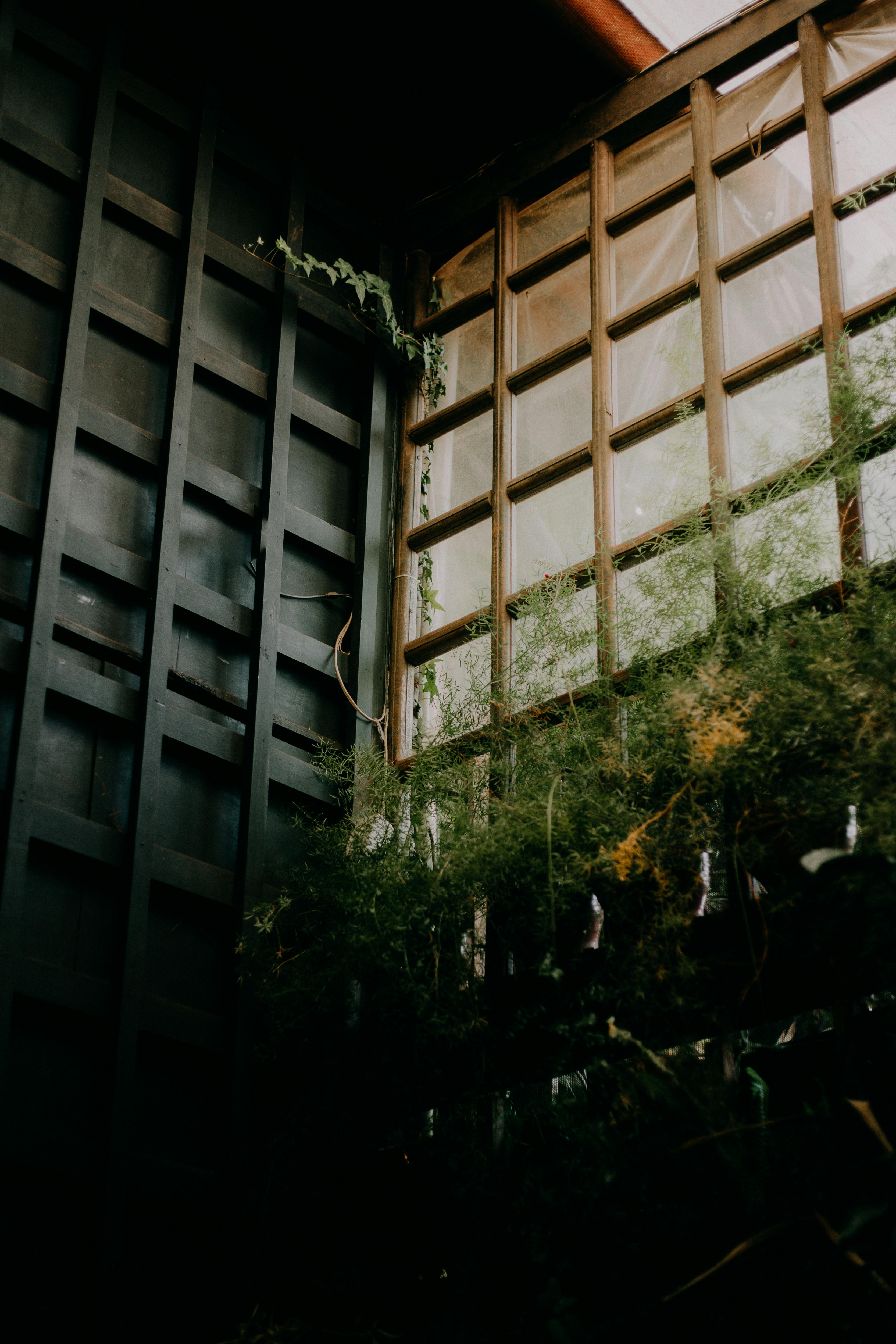 Ivy Loop Wiring Photos, Download The BEST Free Ivy Loop Wiring Stock ...