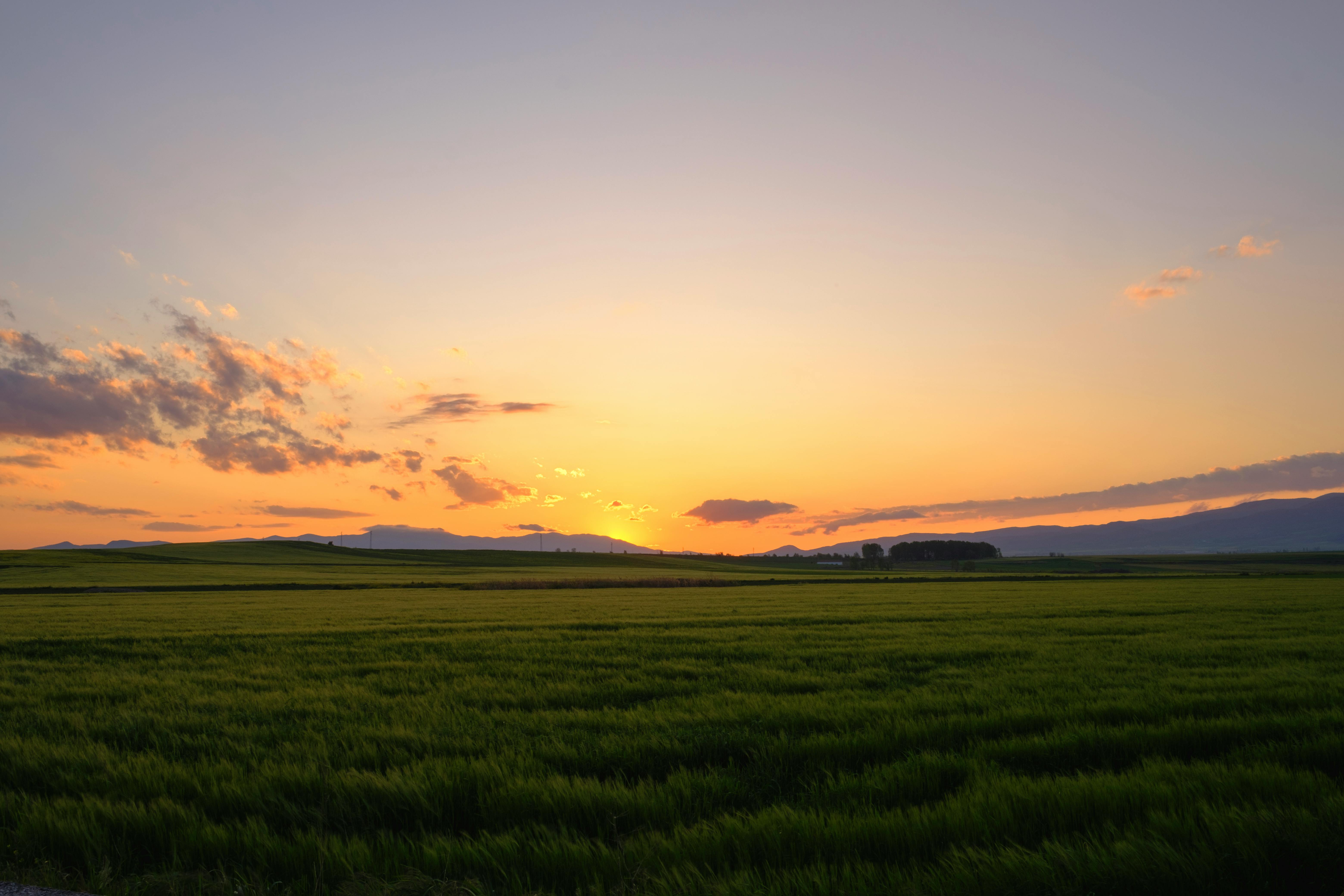 Grassland With Walker Photos, Download The BEST Free Grassland With ...