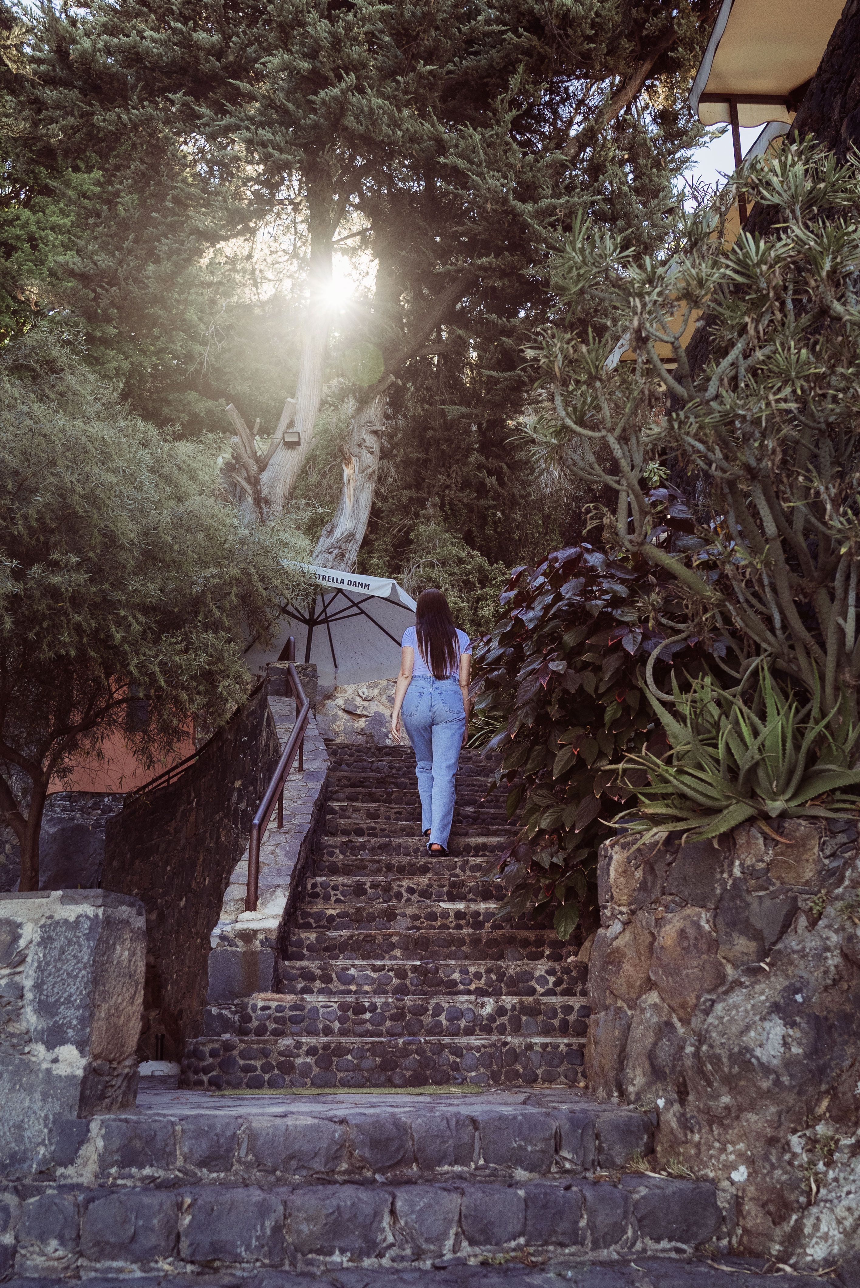 Woman Walking Upstairs · Free Stock Photo