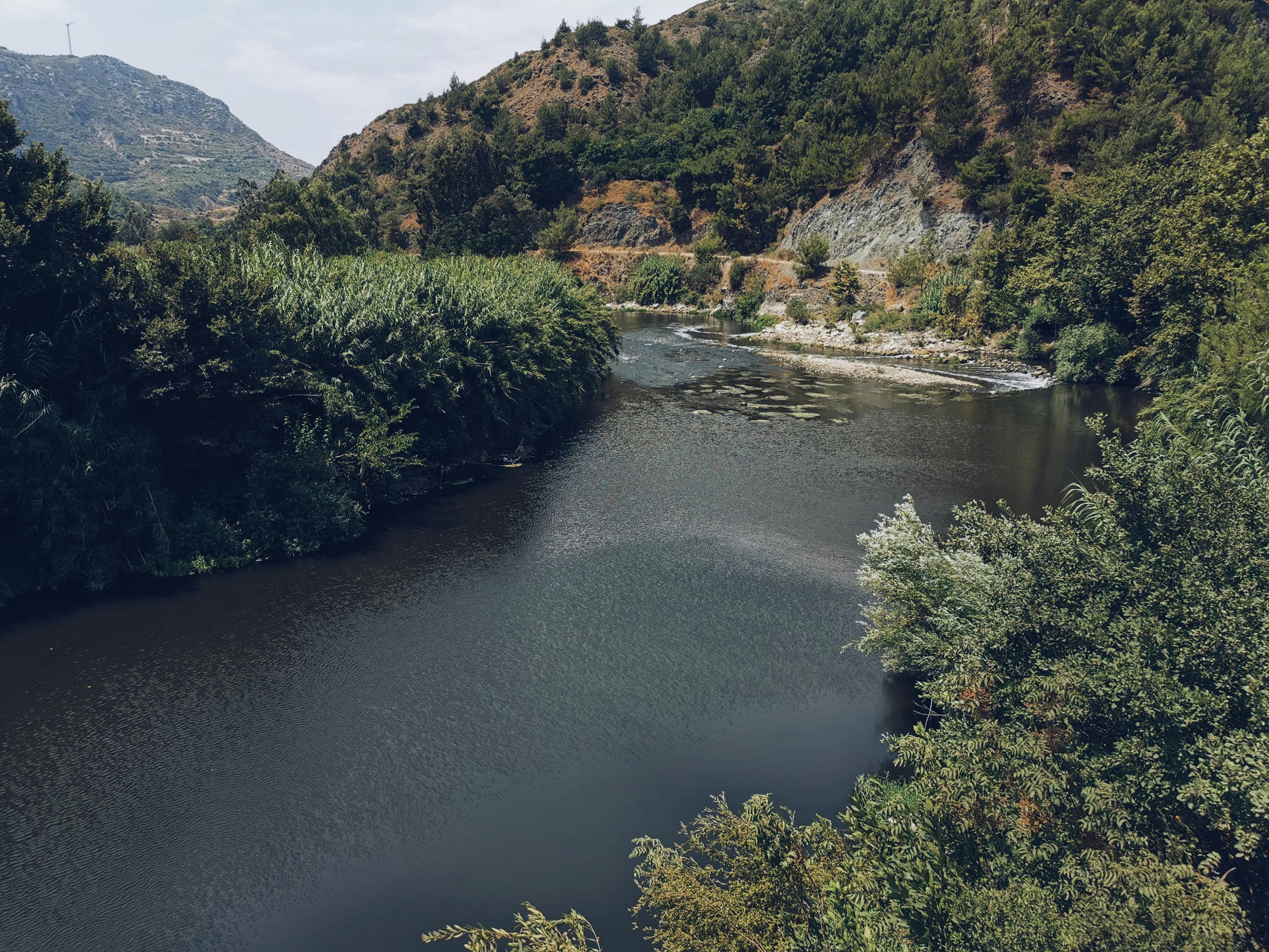 River between Hills Covered with Green Trees · Free Stock Photo