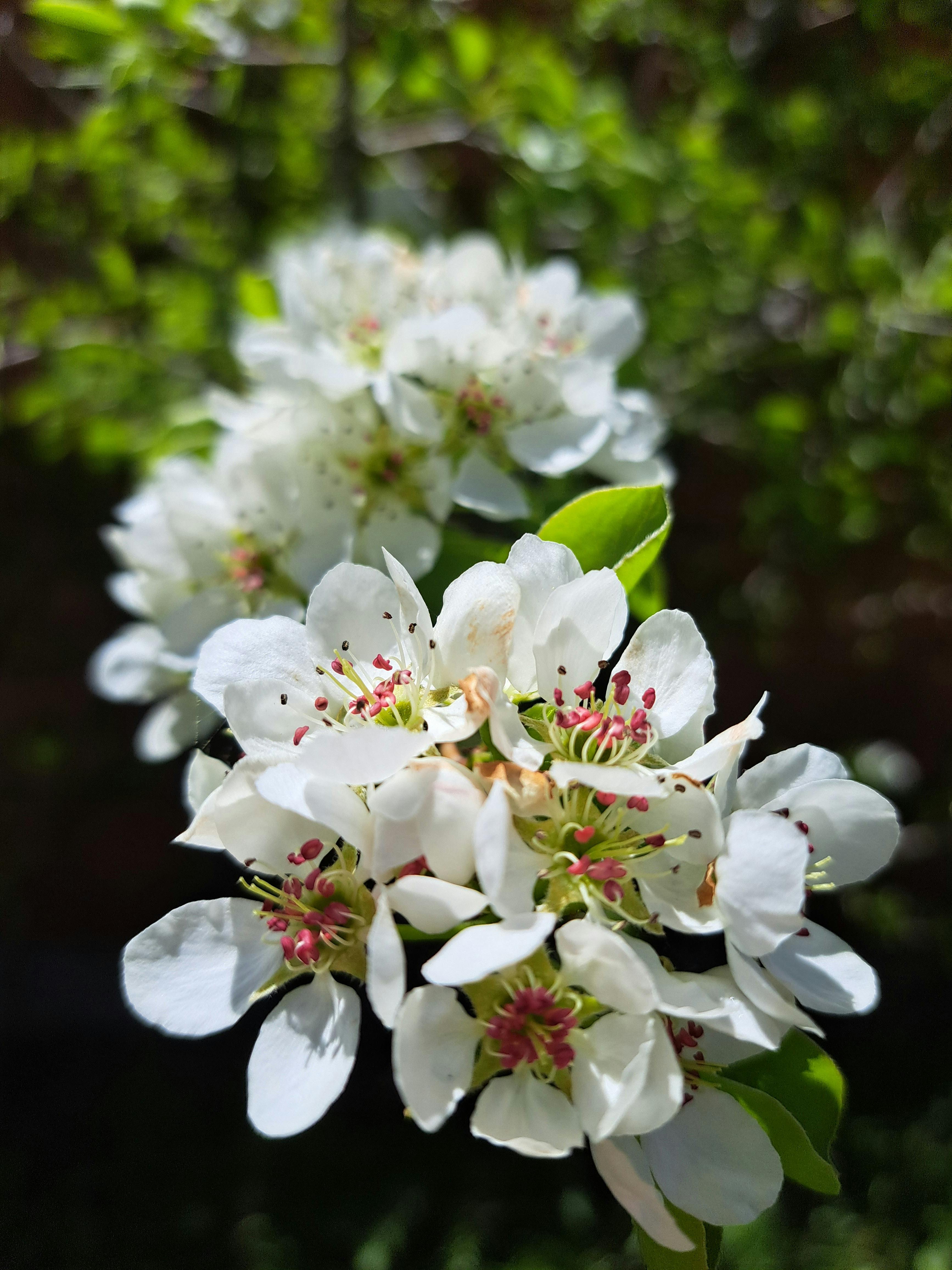 Samet Tunahan SARI - 摄影