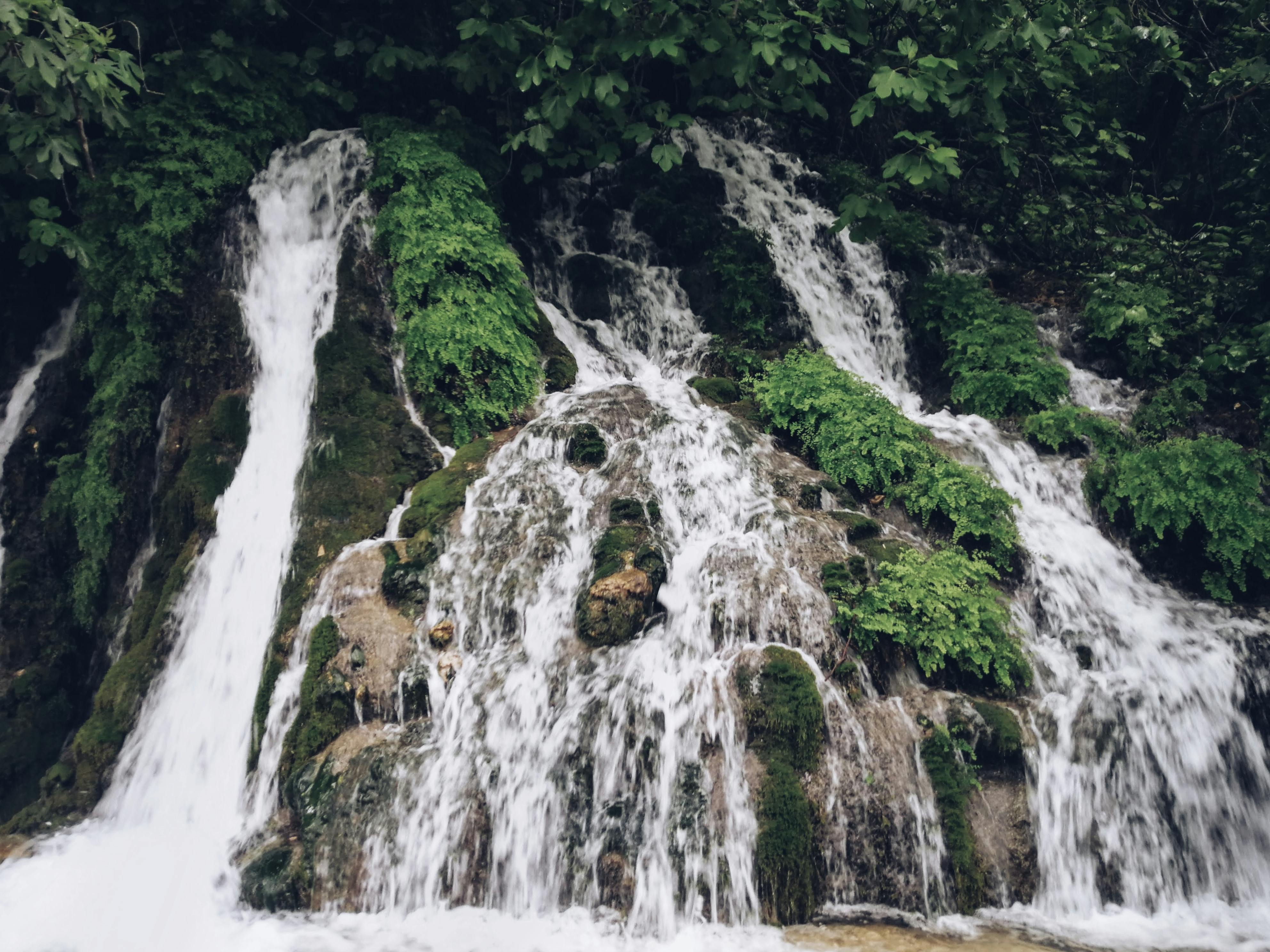 Waterfalls Beside Trees · Free Stock Photo