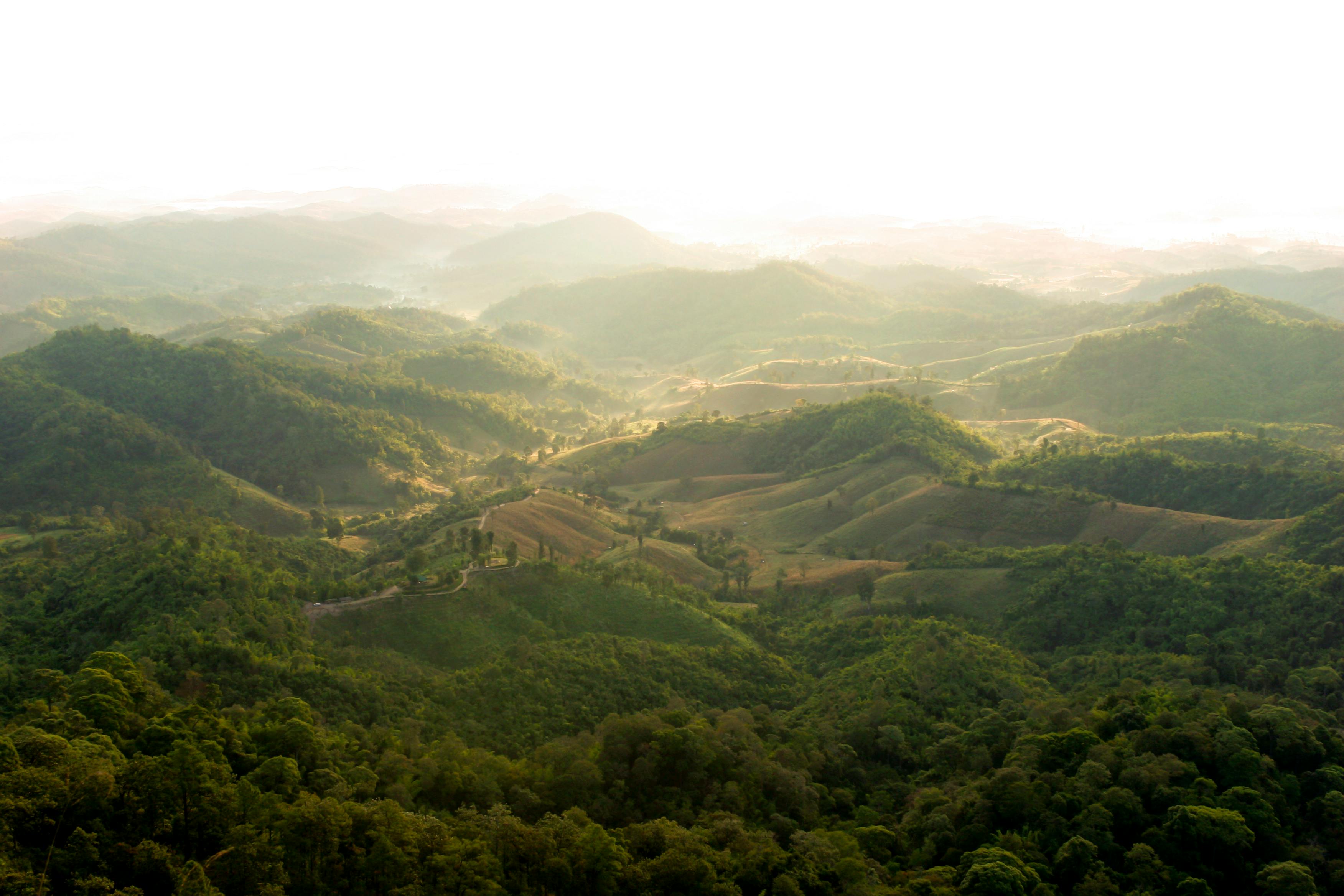 Drone Shot of Green Hills with Trees · Free Stock Photo