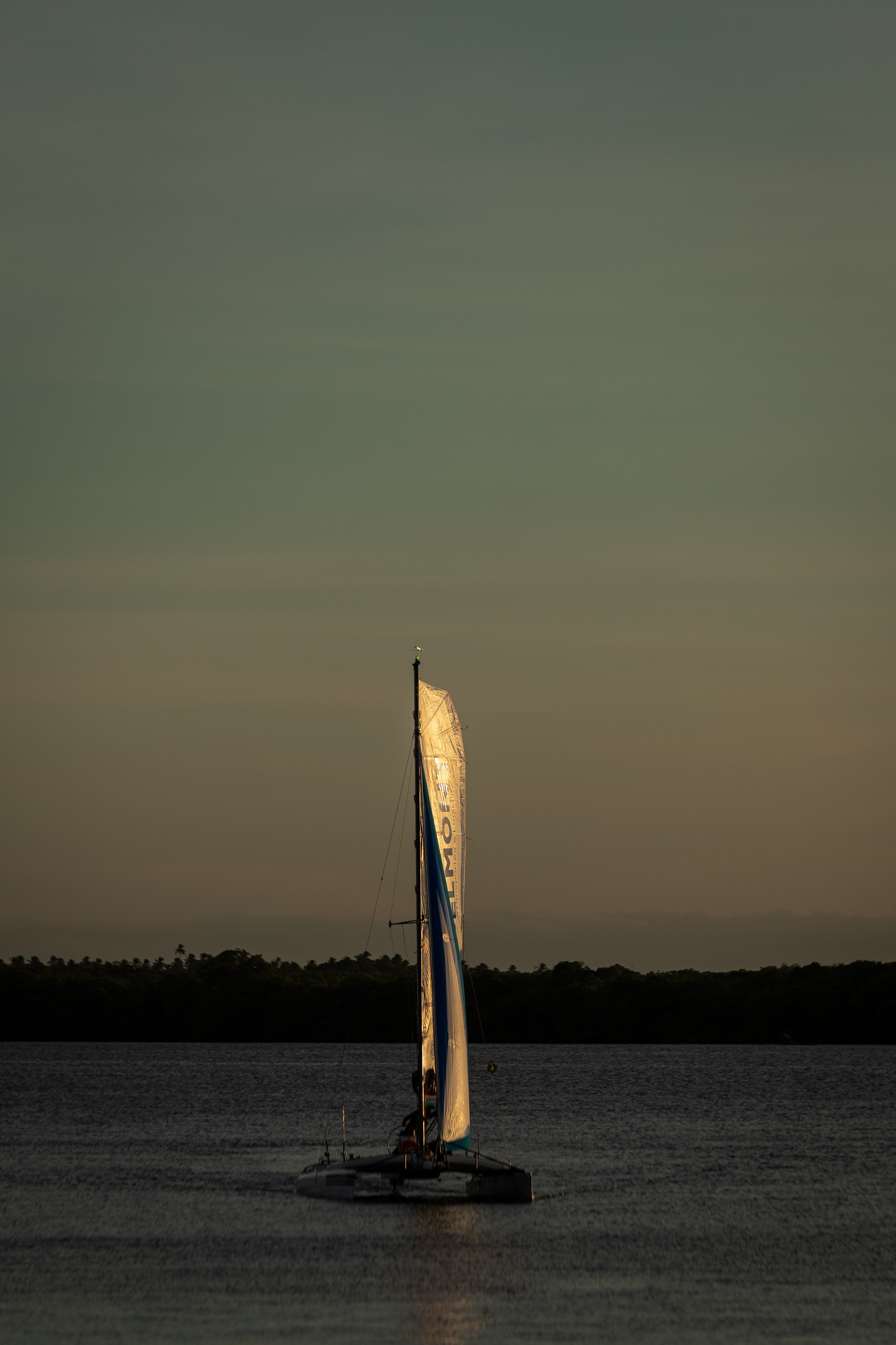 Catamaran Sailing at Dawn · Free Stock Photo