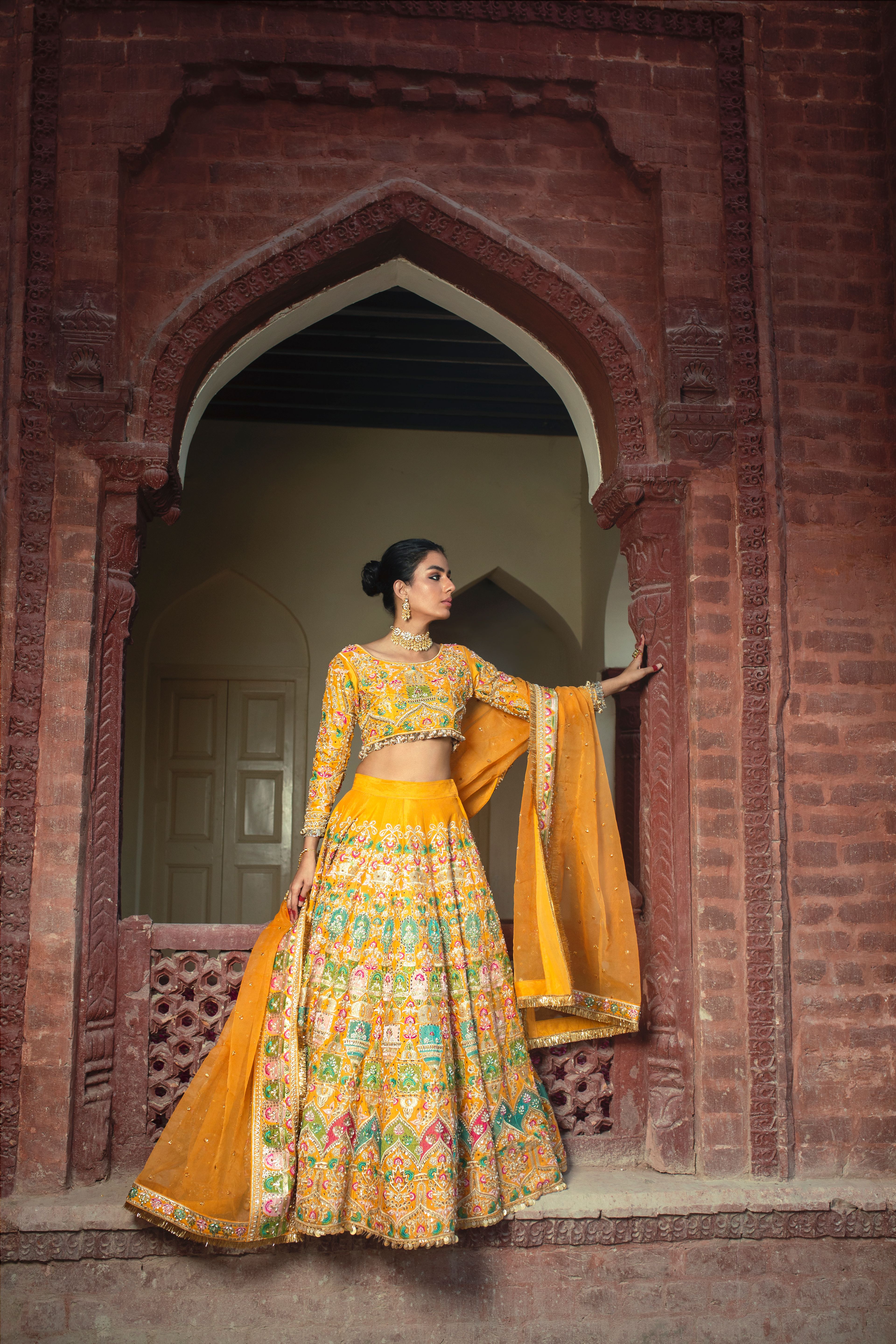 Woman Posing in Door and Wearing Multi Colored Lehenga Dress · Free ...