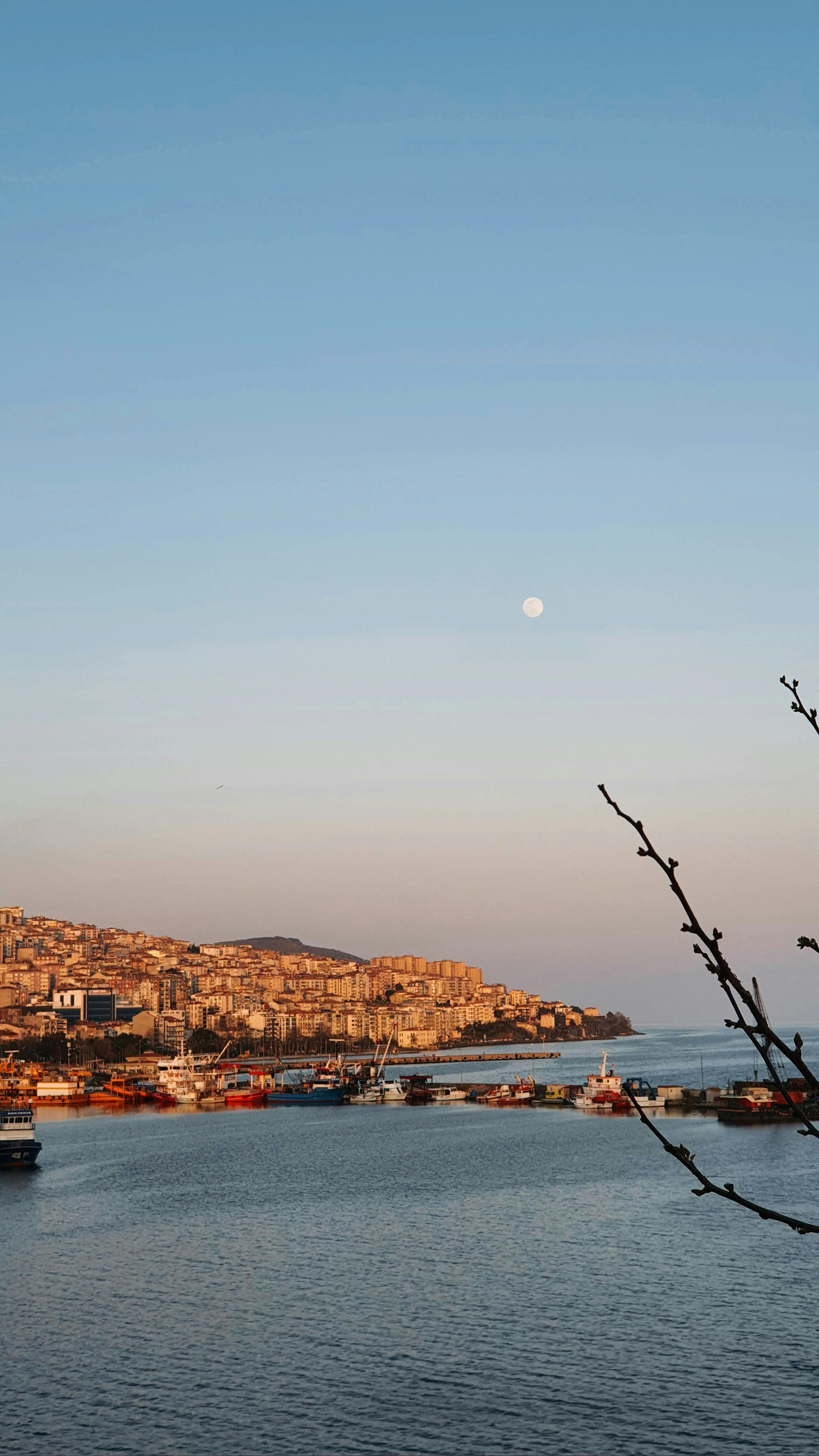 Modern Coastal City in Lights on Seashore · Free Stock Photo