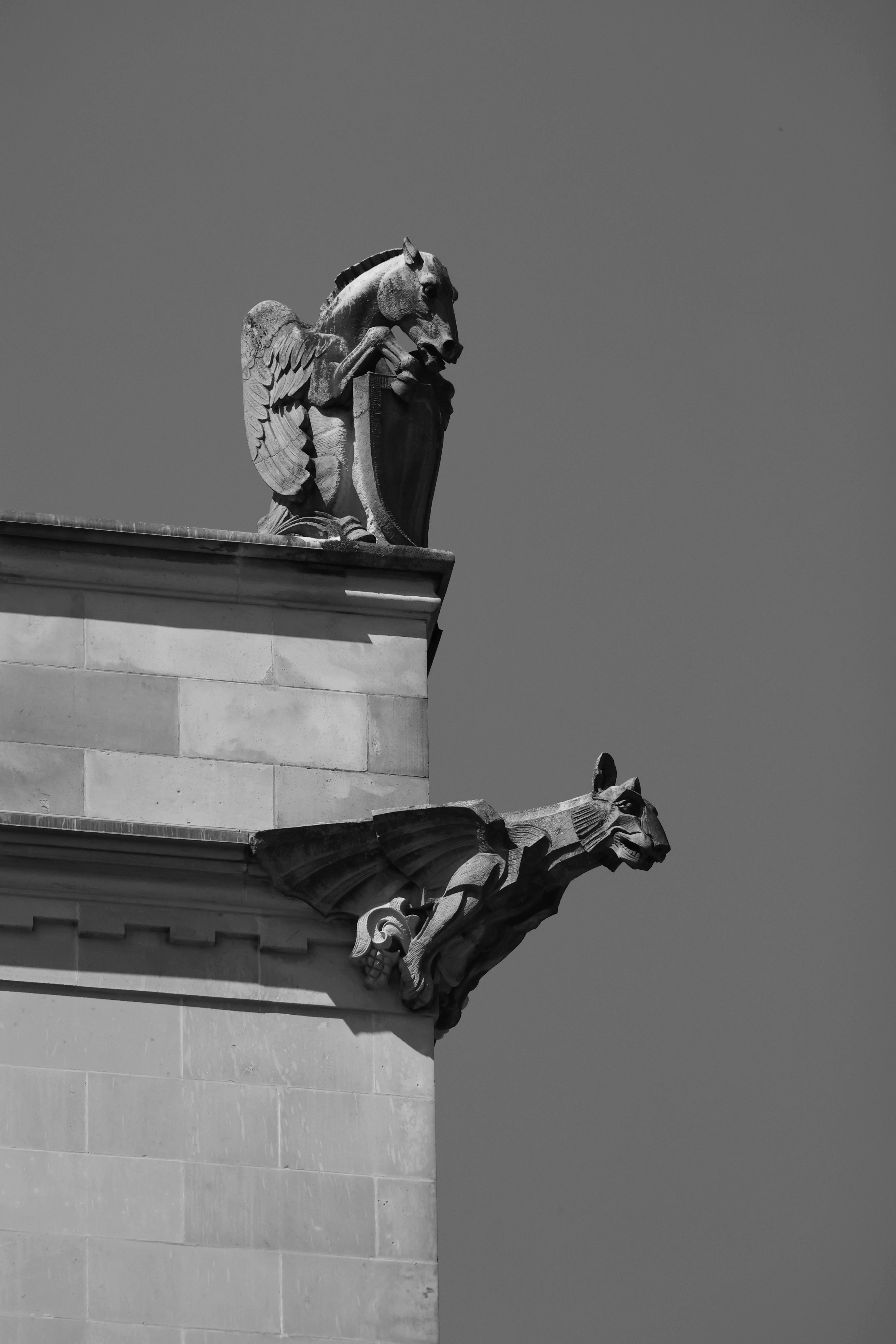 Ancient Animation Videos Photos, Download The BEST Free Ancient ...