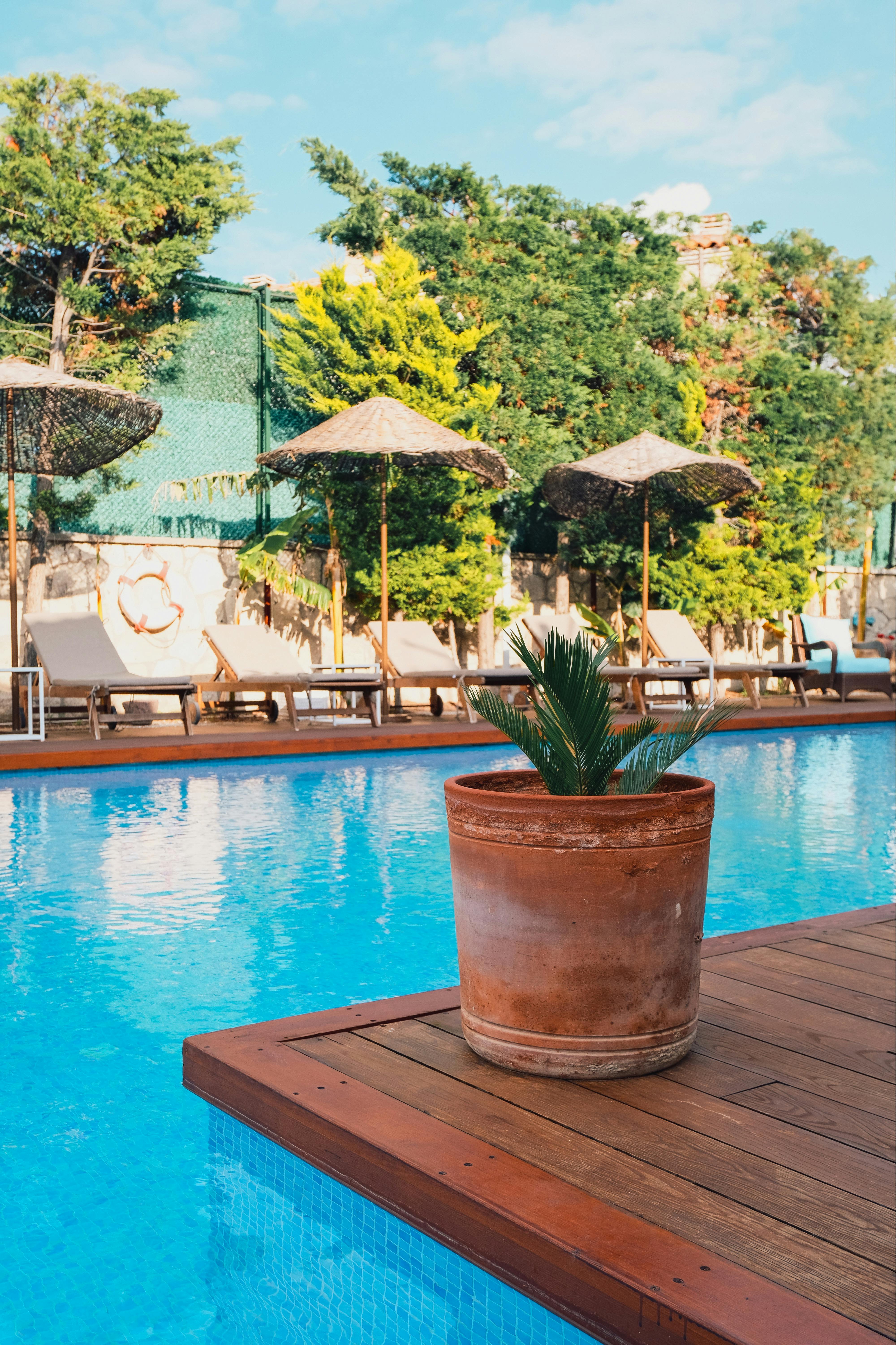 Swimming Pool in Summer · Free Stock Photo