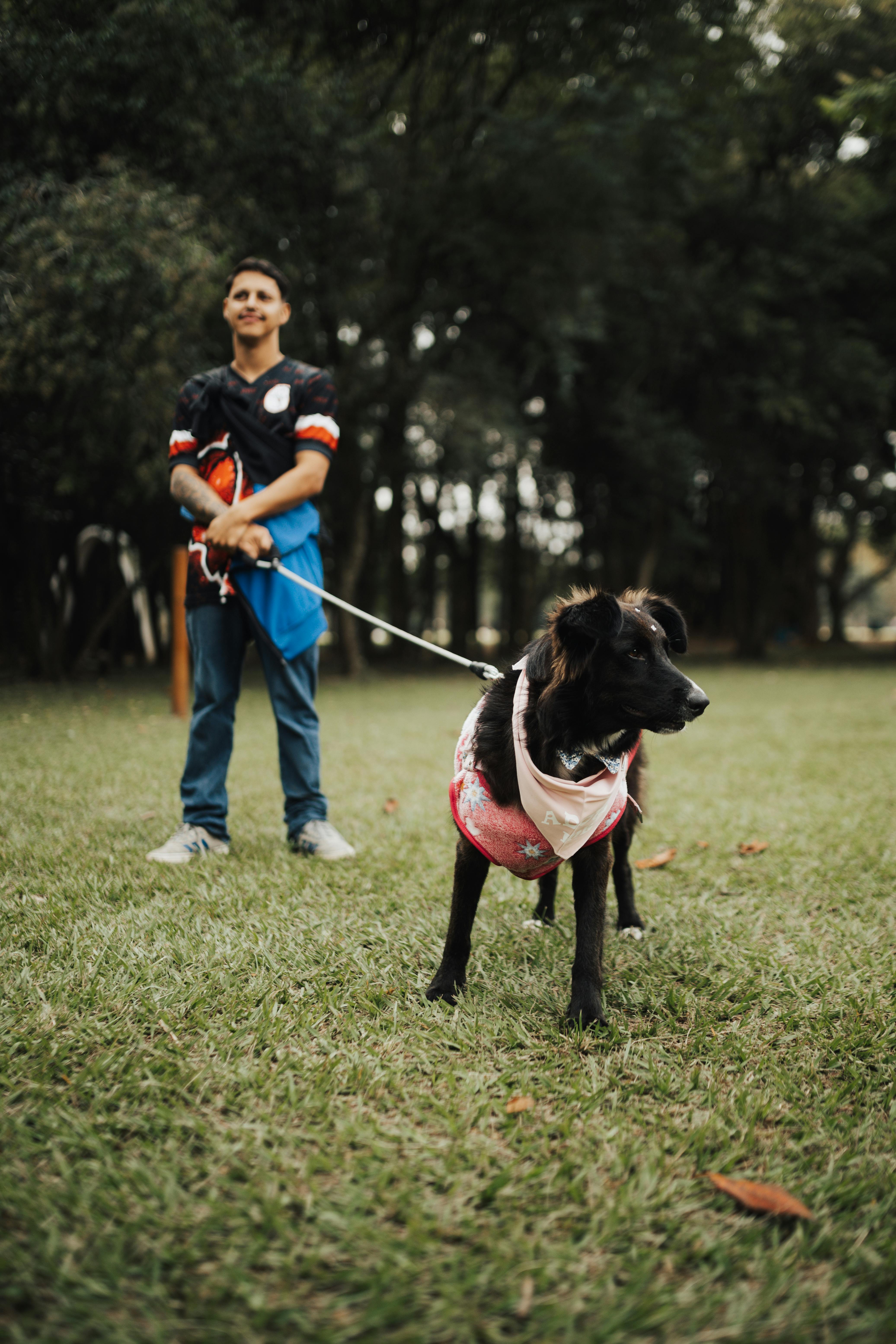 Man Holding His Dog on a Leash in a Park · Free Stock Photo