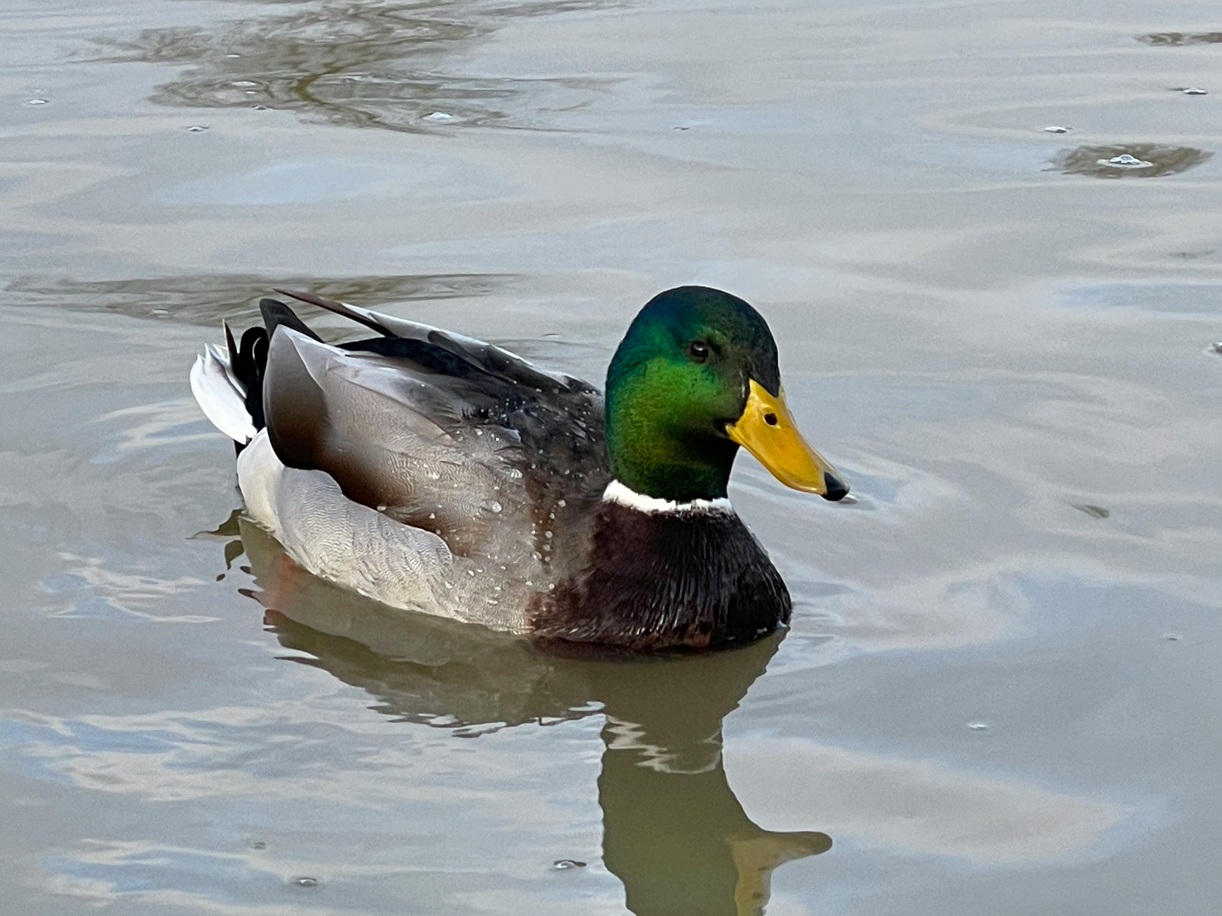 joe Wilkinson - Fotografie