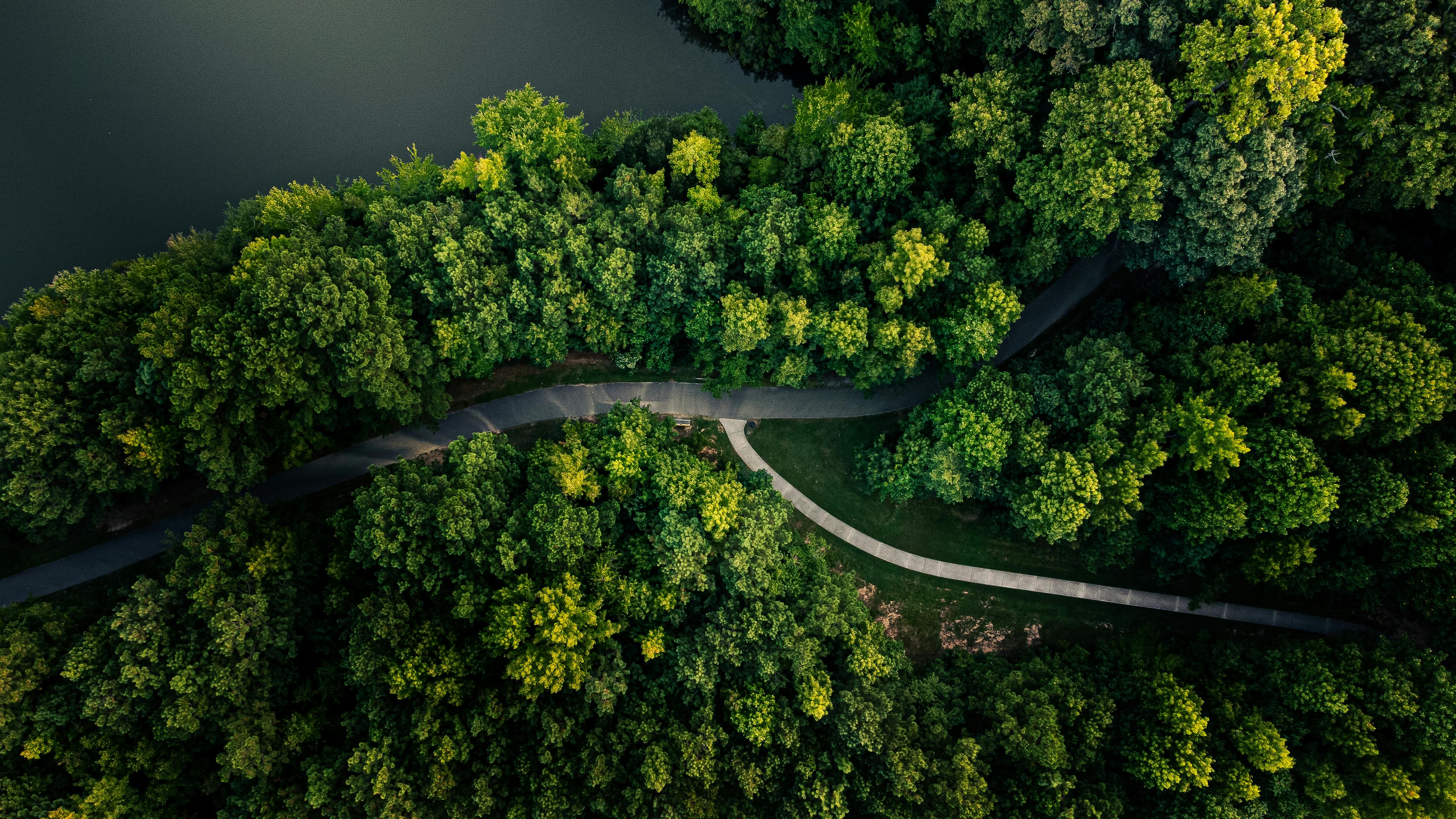 Birds Eye View of Park · Free Stock Photo