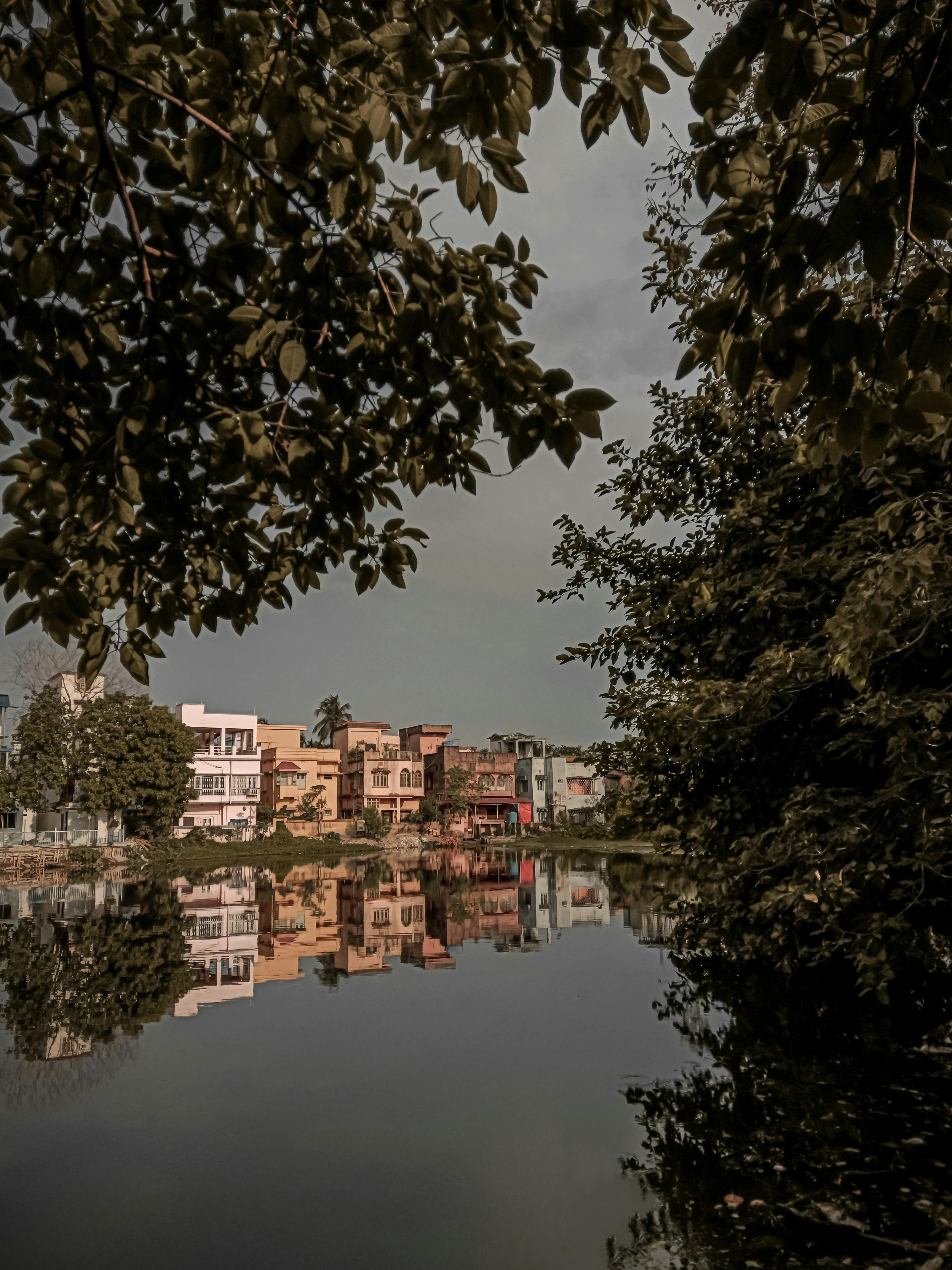 Shalimar Photos, Download The BEST Free Shalimar Stock Photos & HD Images