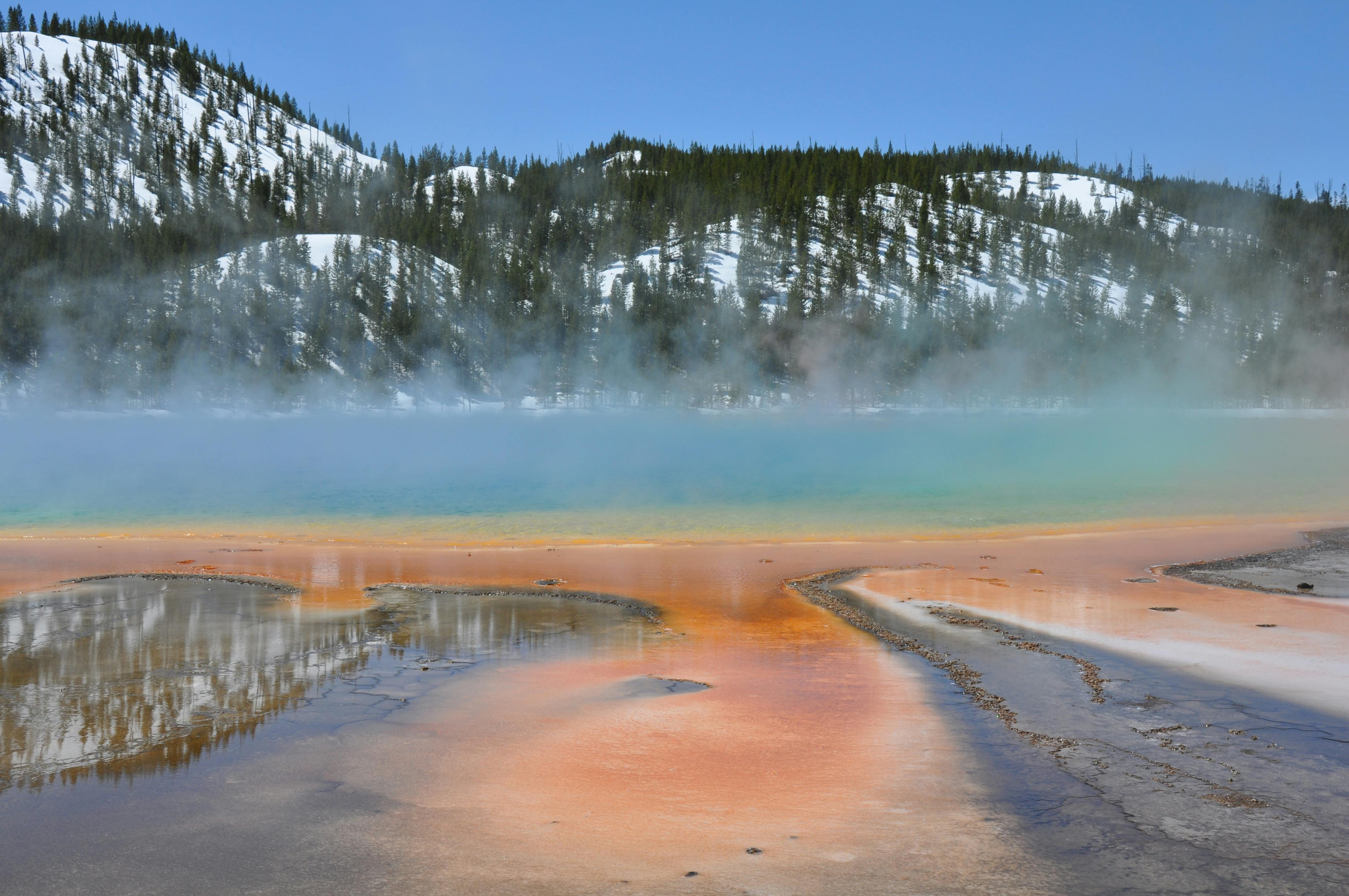 Hot Spring in Yellowstone National Park · Free Stock Photo
