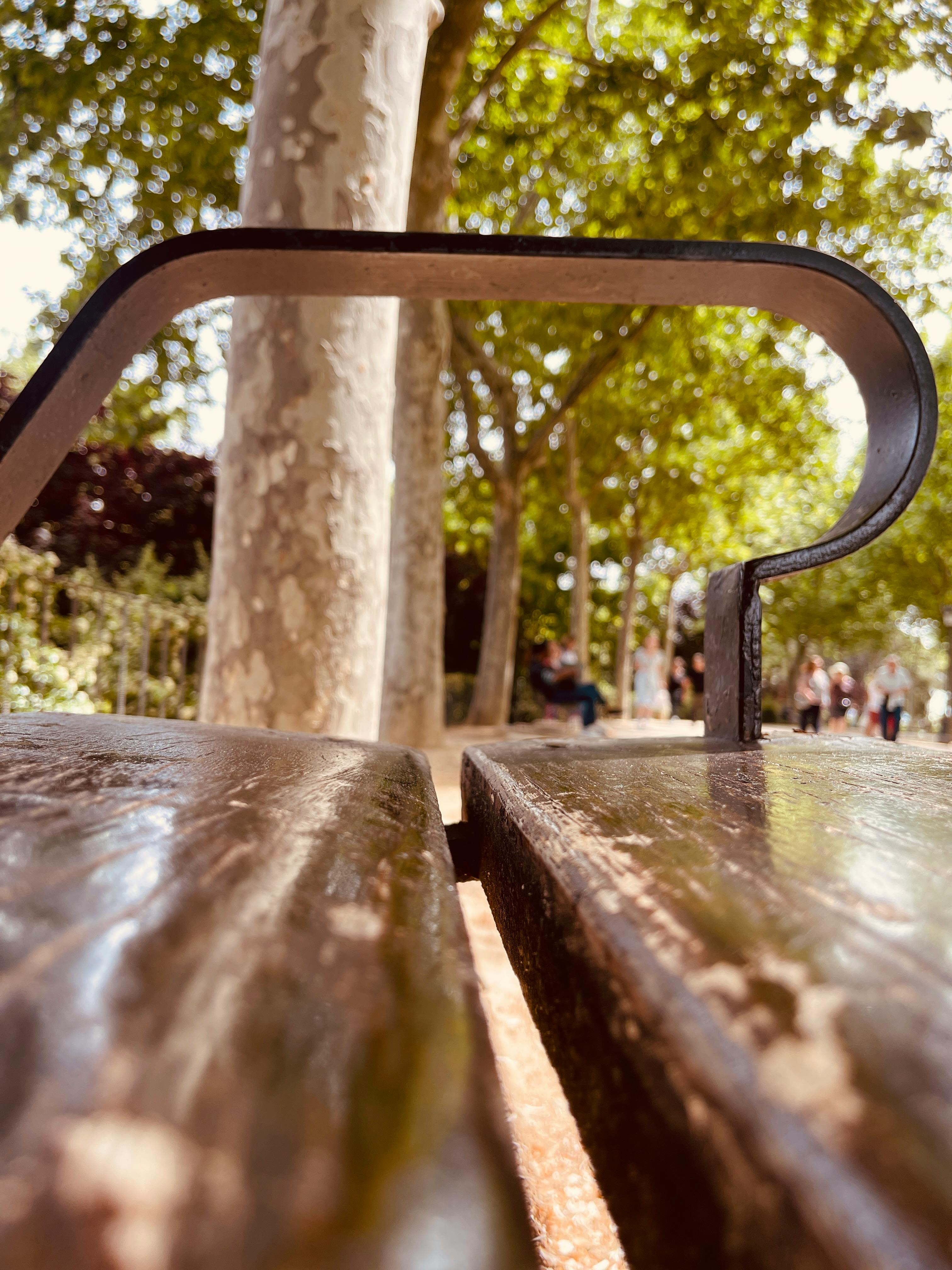 Luis Ribeiro - 사진