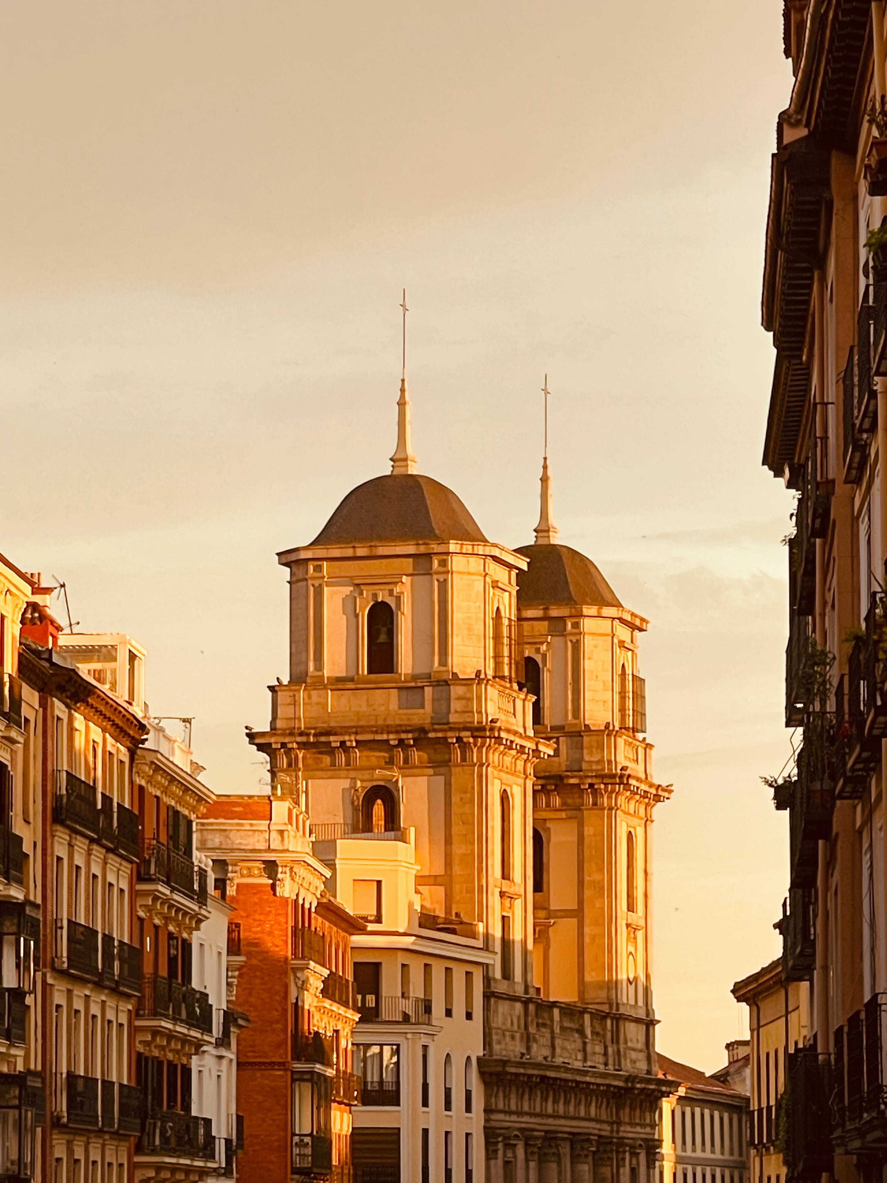 Luis Ribeiro - 사진