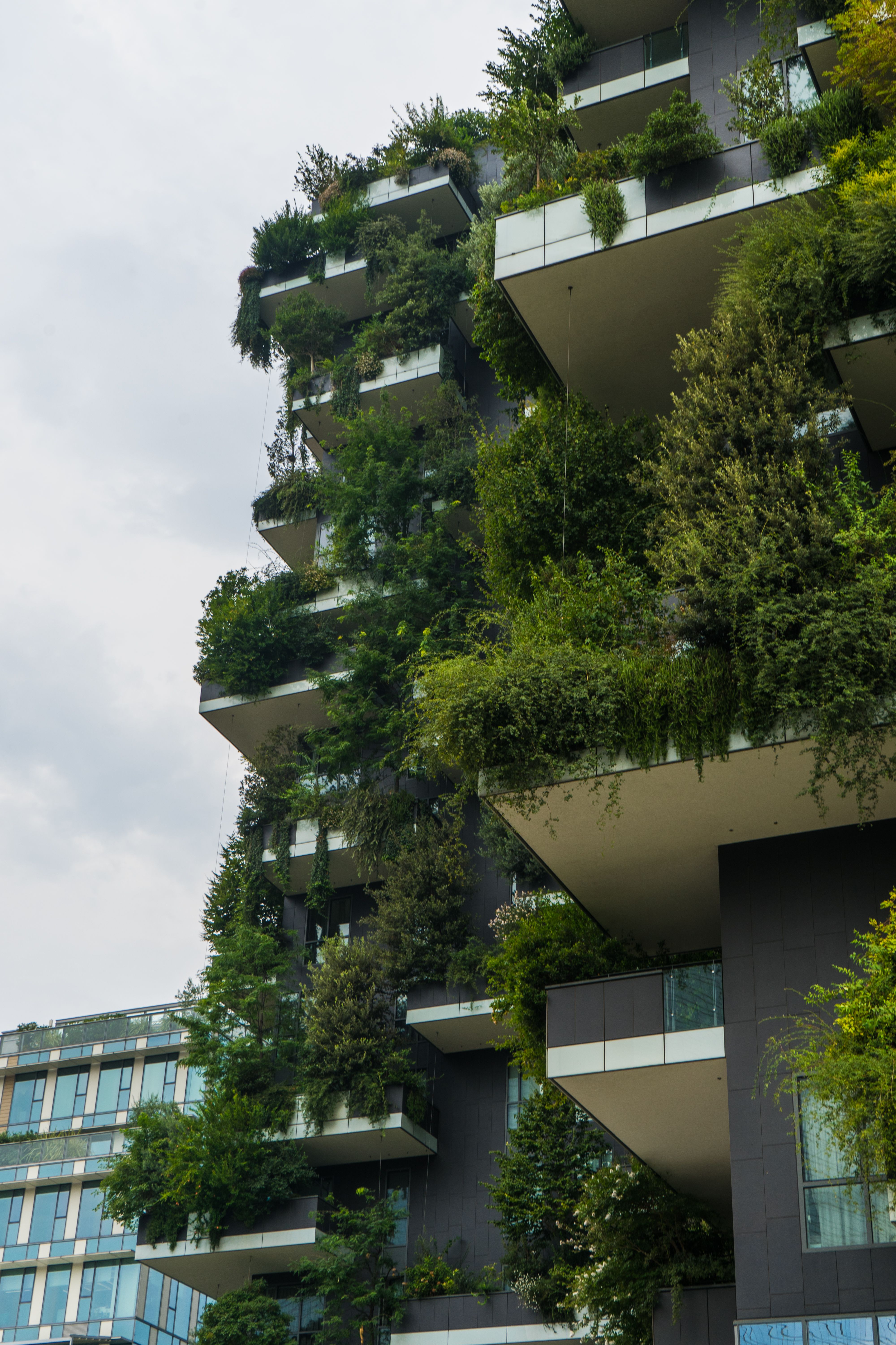 Green Plants on Residential Building Wall · Free Stock Photo