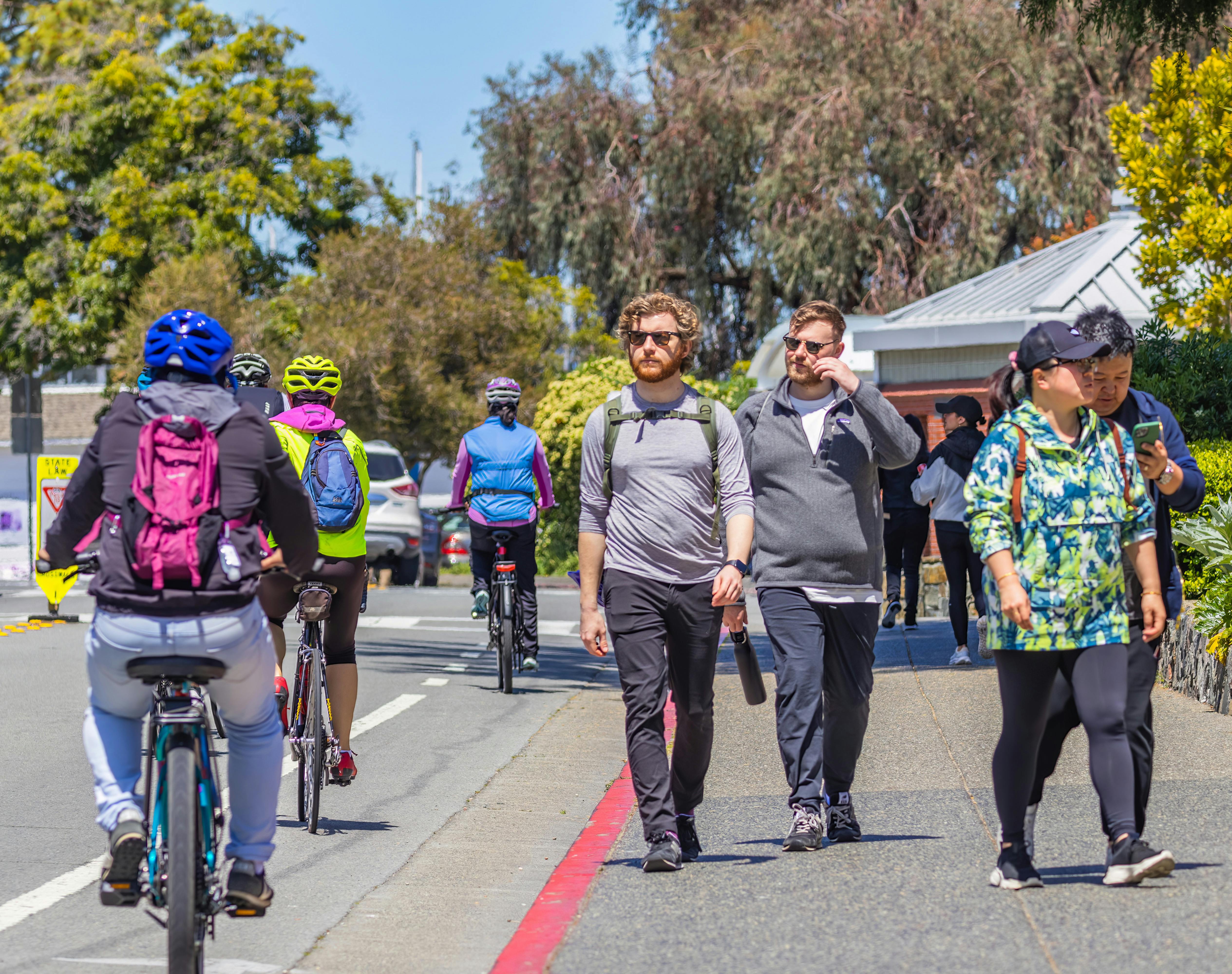 People Walking and Riding on Bicycles on an Asphalt Road · Free Stock Photo