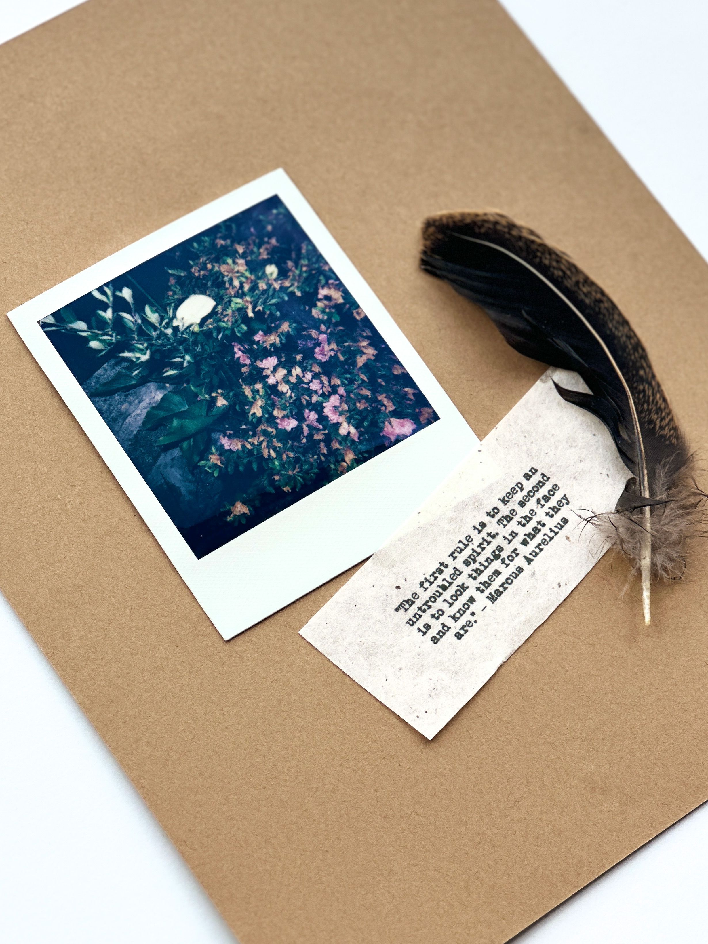 Satisfying Photo Photos, Download The BEST Free Satisfying Photo Stock ...