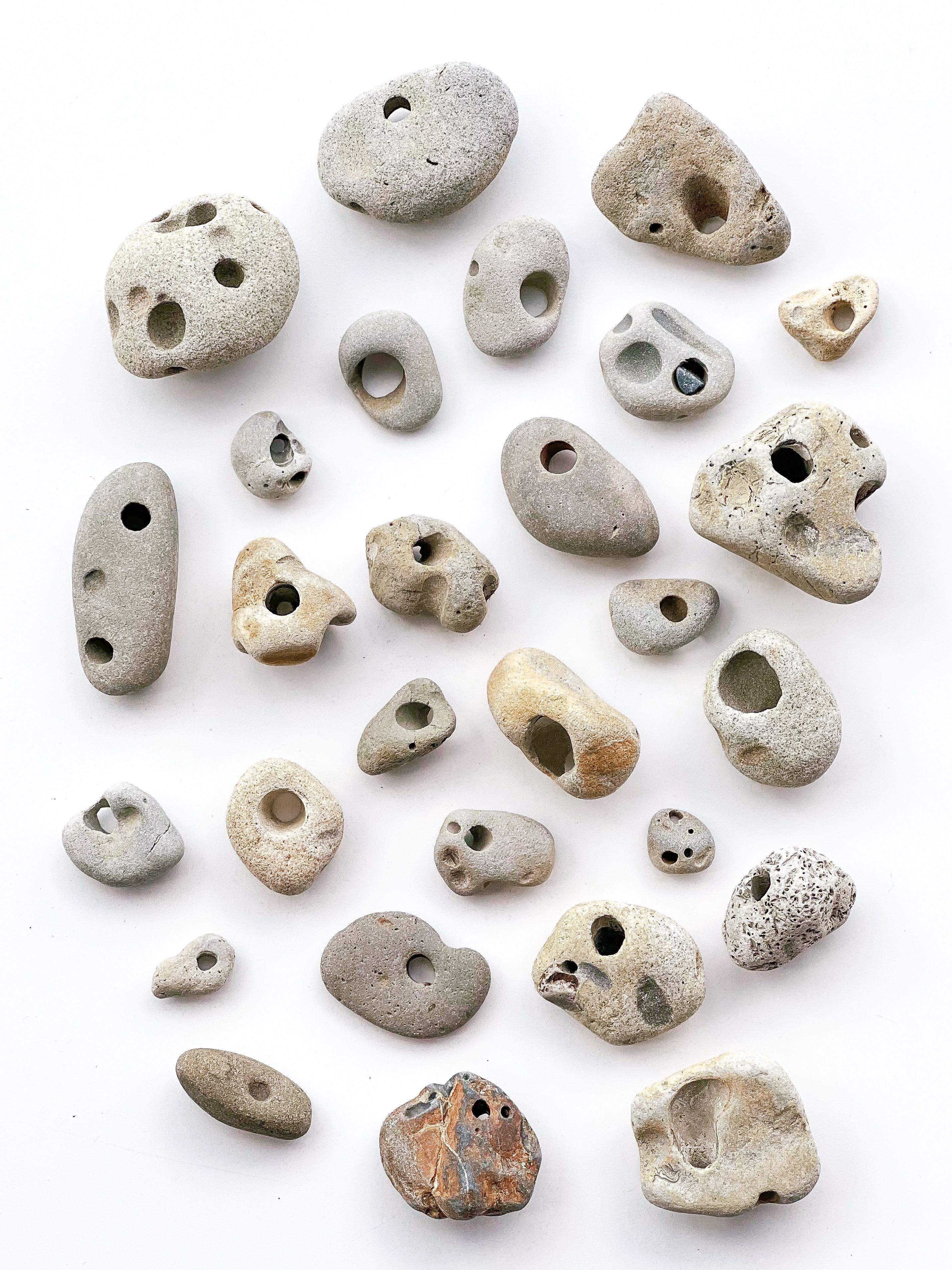 Stones with Holes · Free Stock Photo